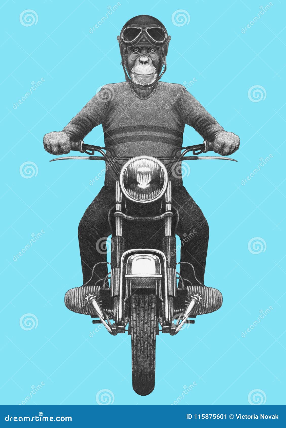 Monkey Rides Motorcycle. Hand-drawn Illustration. Stock Illustration ...