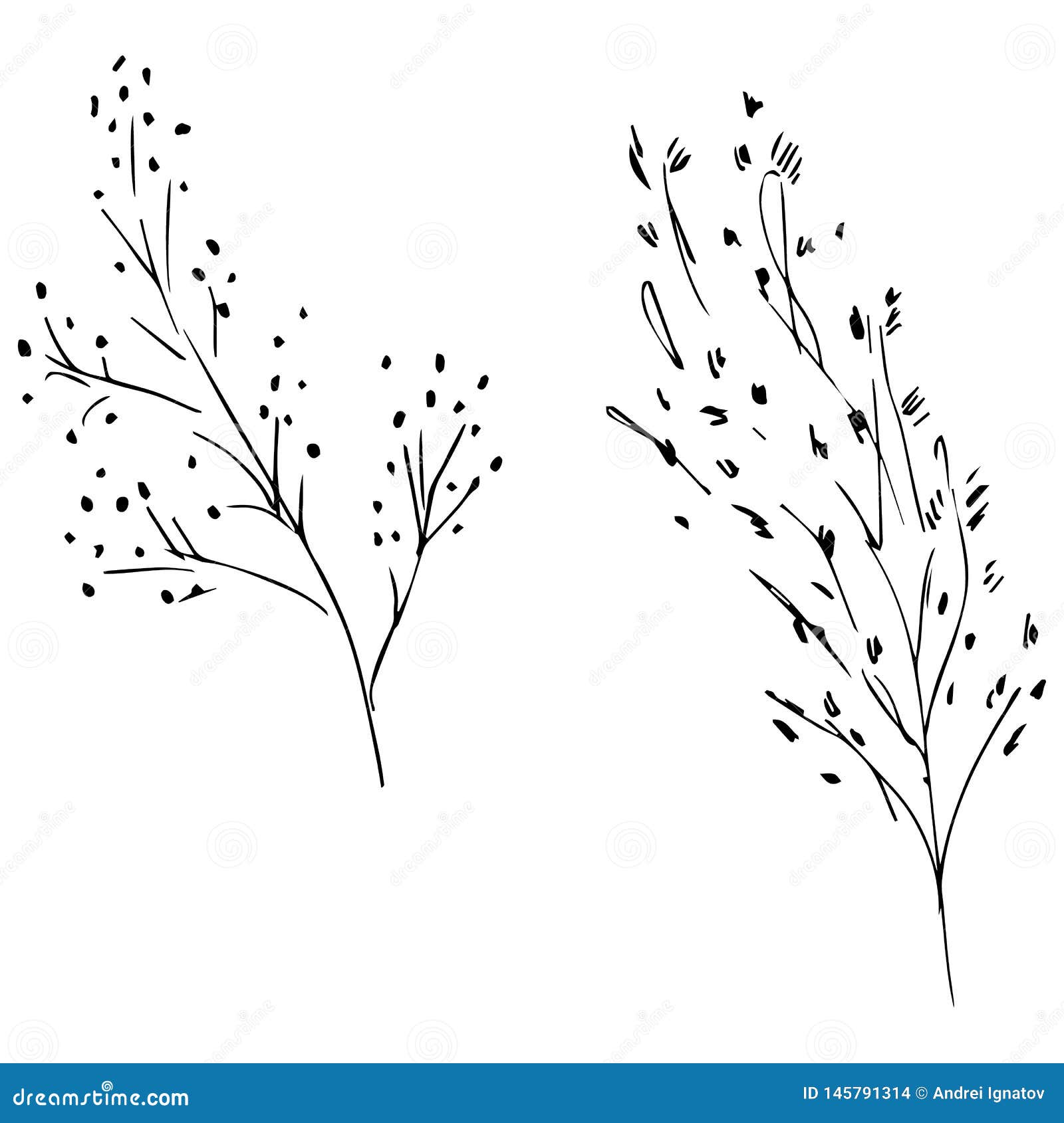 Hand Drawn Illustrations of Abstract Set of Leaves Isolated on White ...