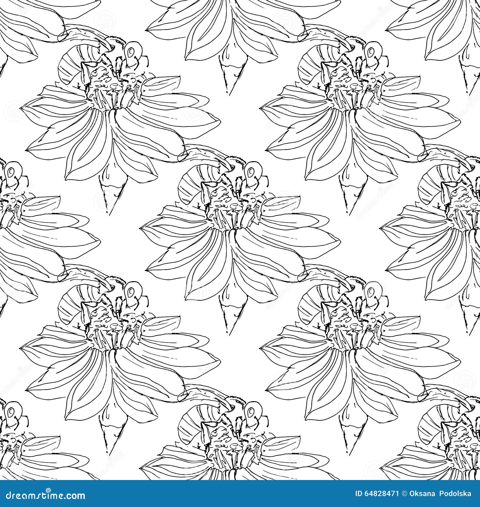 Flower Pollination Diagram Clipart Design. Flowers Reproduction ...