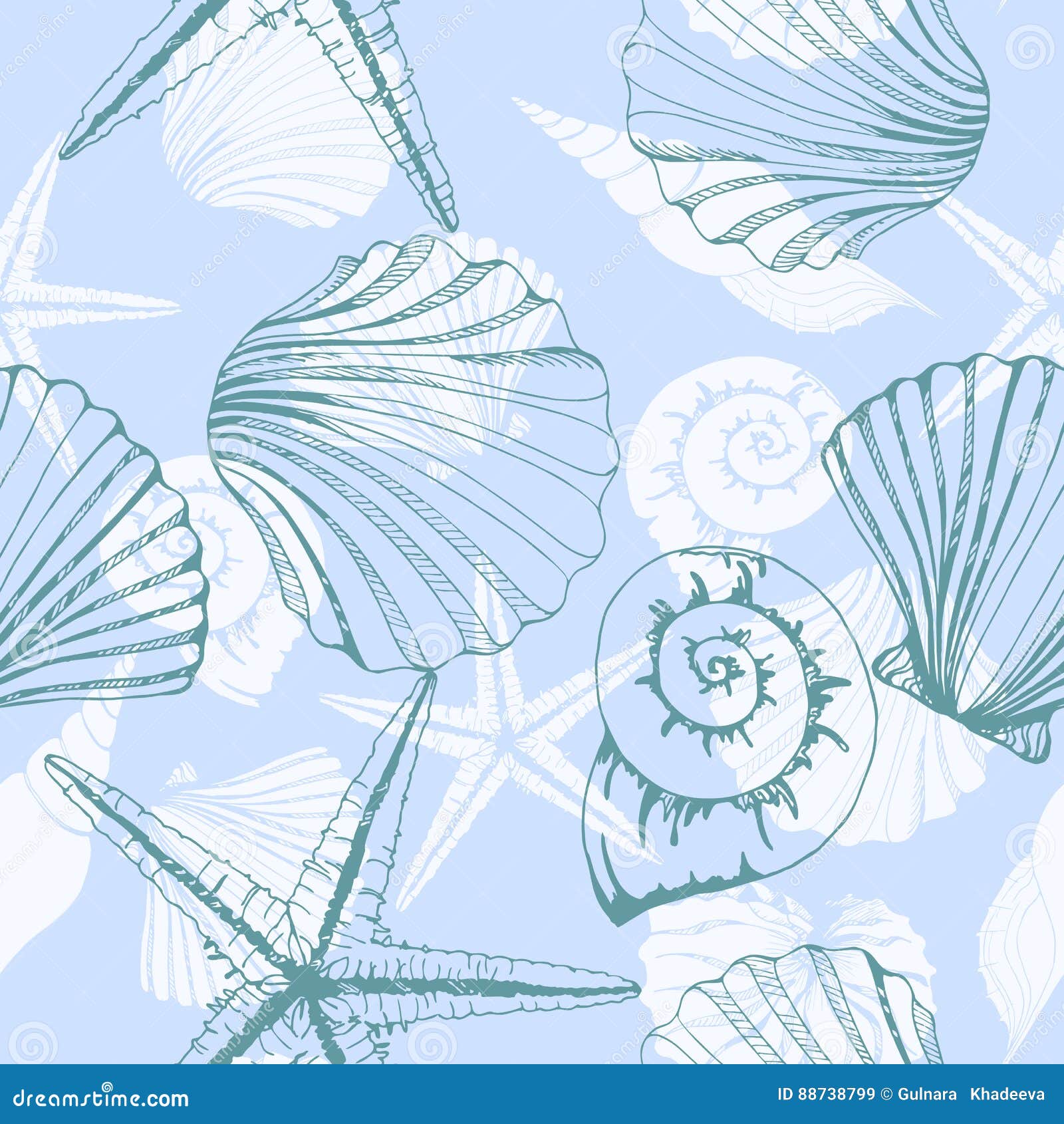 Seashells Set. Marine Sea Shells, Beach Coastal Conch, Tropical Scallop ...