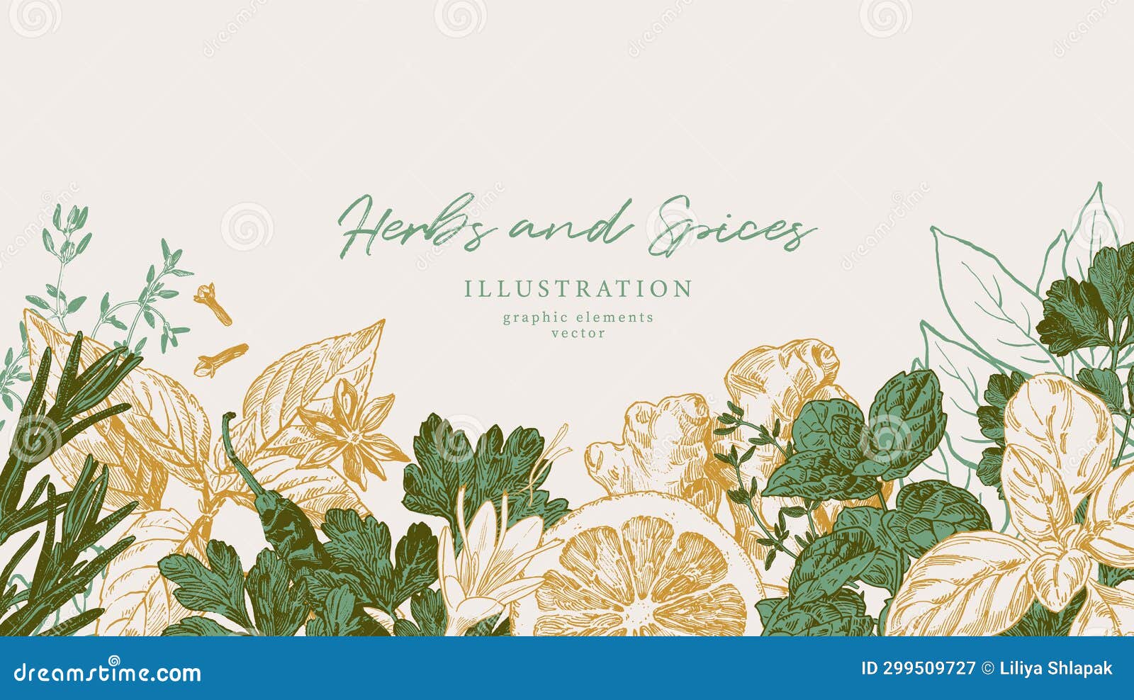 Herbs and Spices Horizontal Border, Herbs and Spices Banner Stock ...