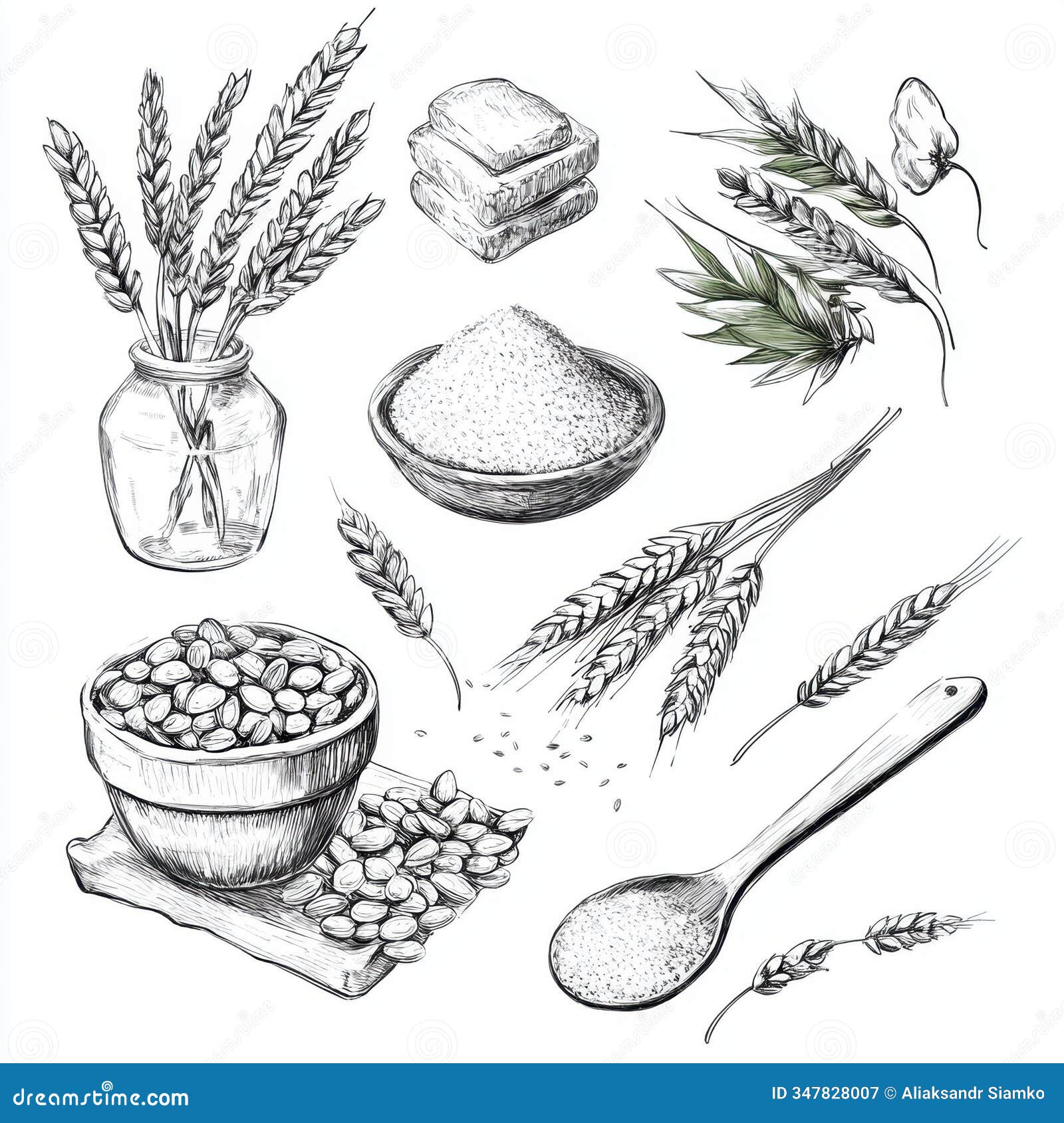 Hand-drawn Illustrations of Various Grains and Ingredients in Bowls ...