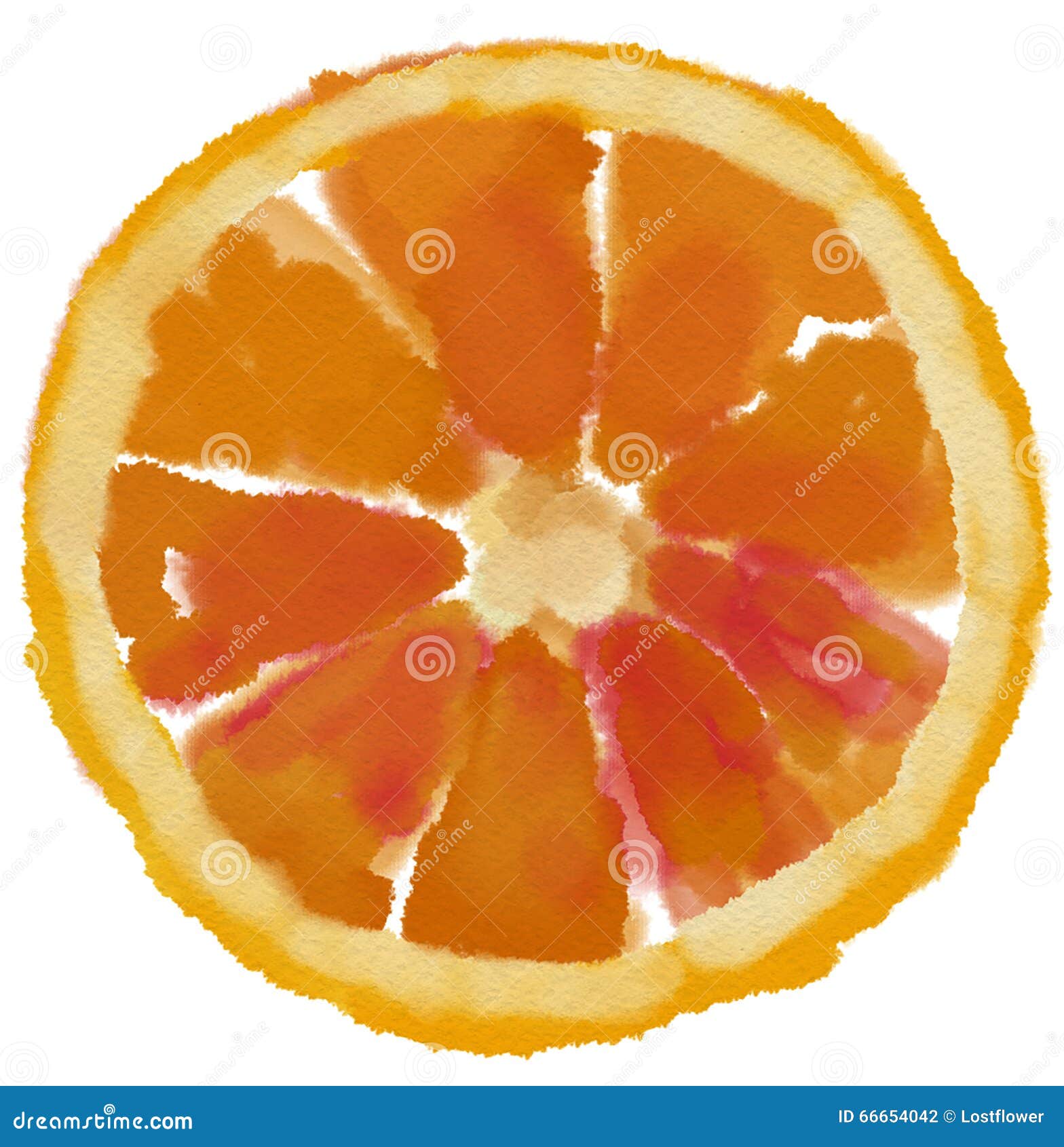 Hand drawn image of orange stock illustration. Illustration of circle ...