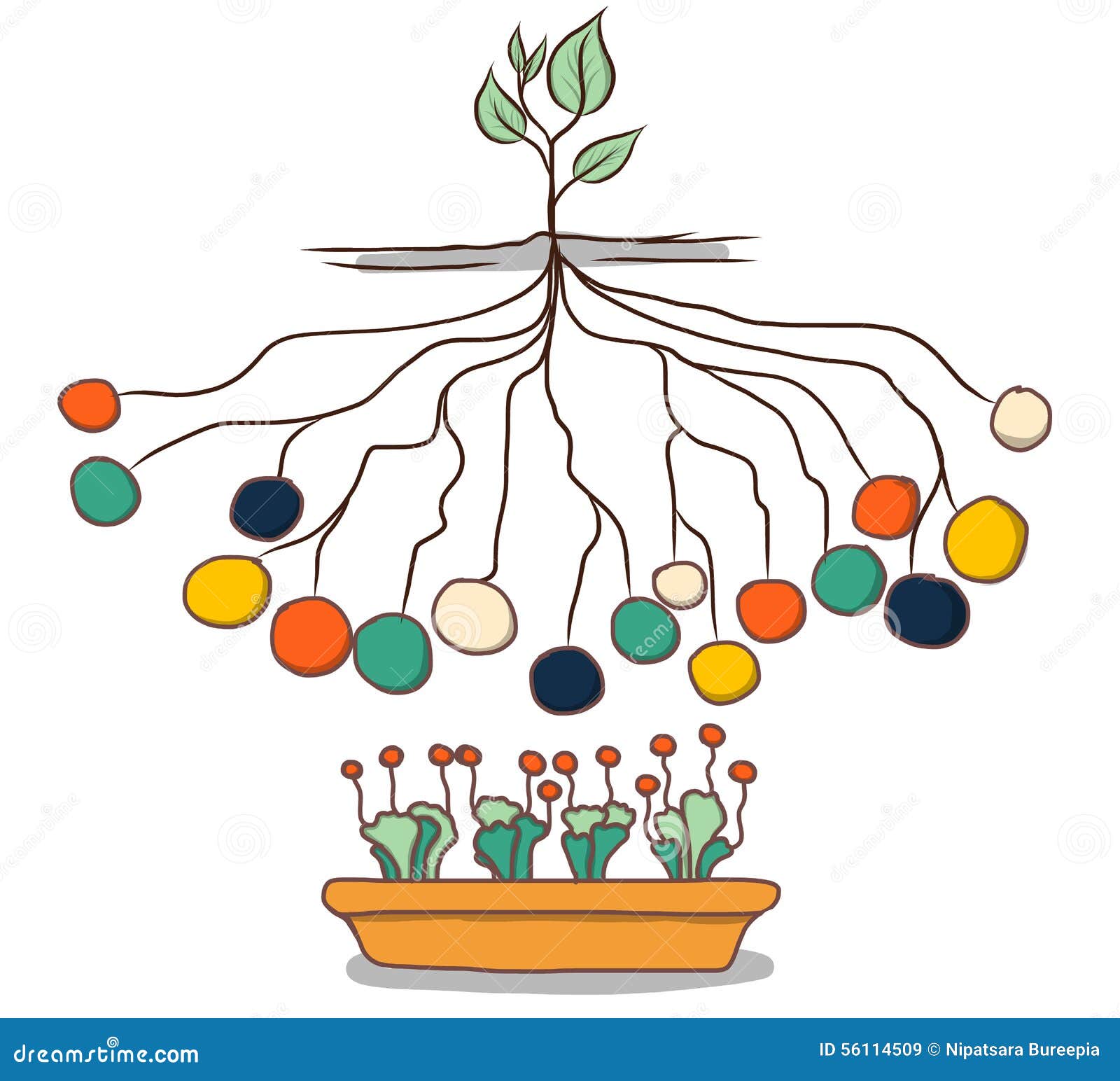 Tree Network Topology Stock Image | CartoonDealer.com #50462581