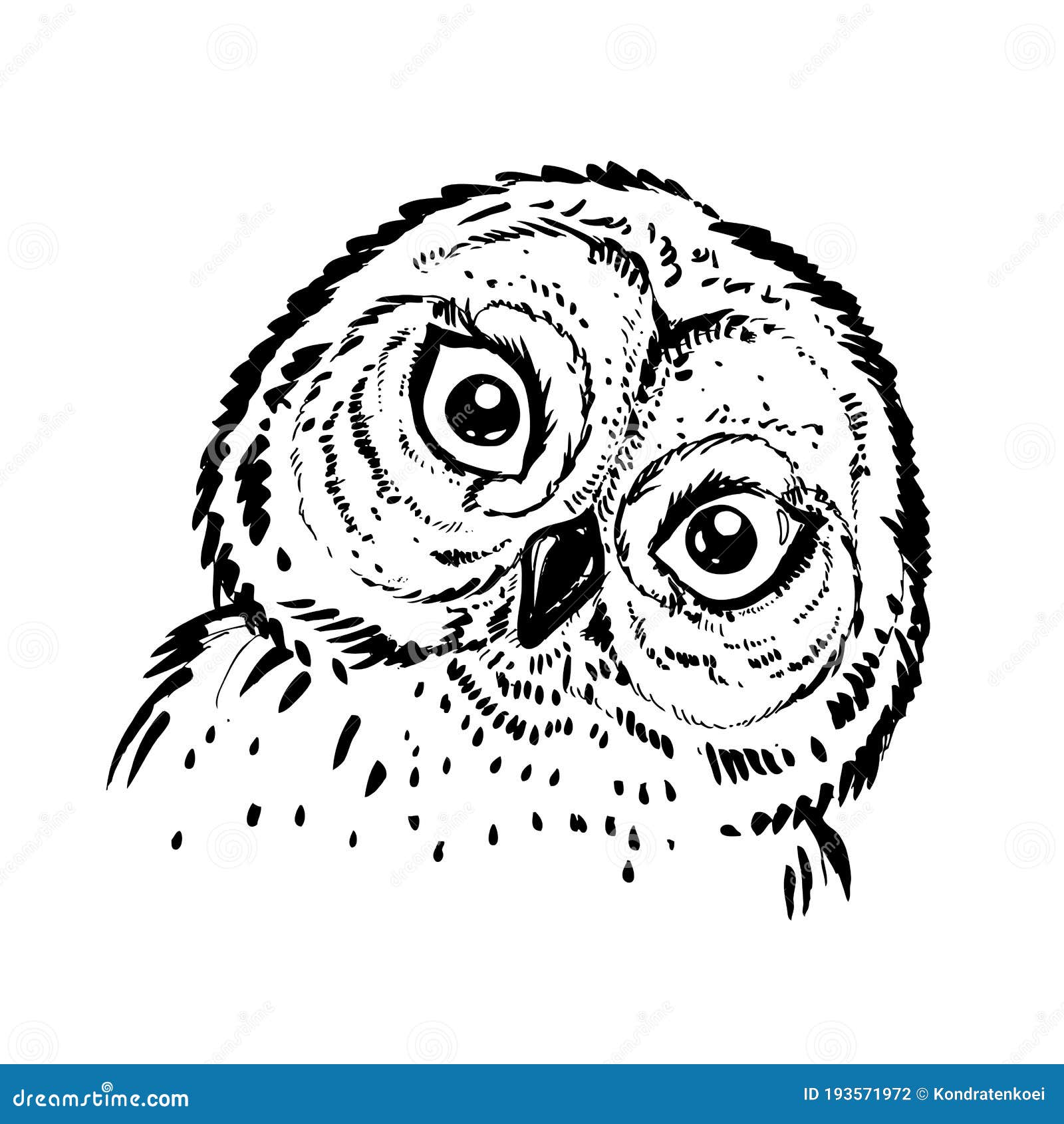 Hand Drawn Ink Illustration Owl. Vector Eps 8 Stock Vector ...