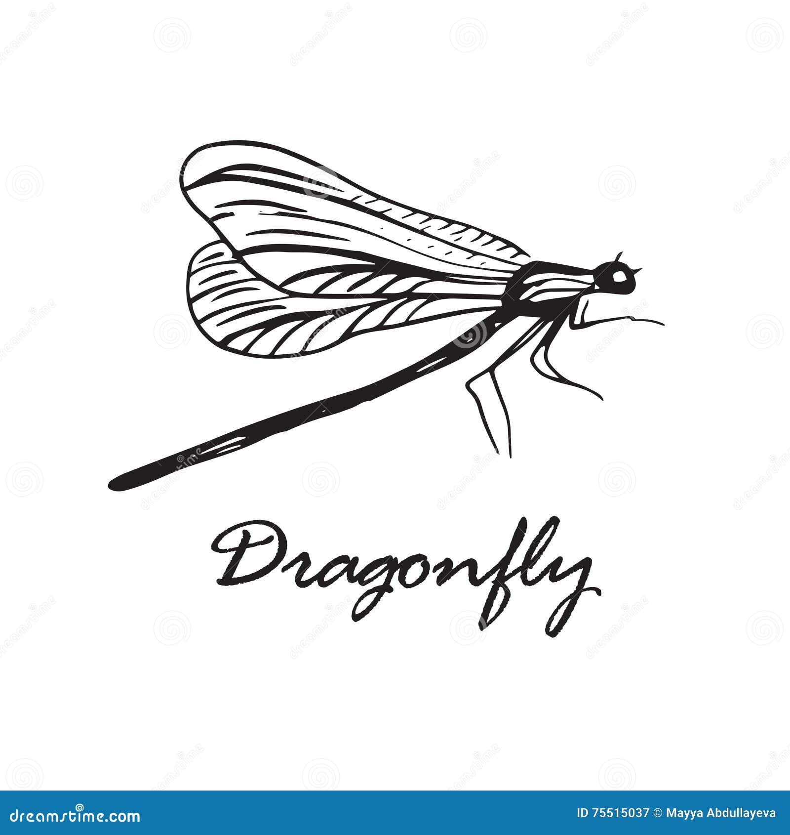 Hand Drawn with Ink Pen Dragonfly. Stock Vector - Illustration of ...
