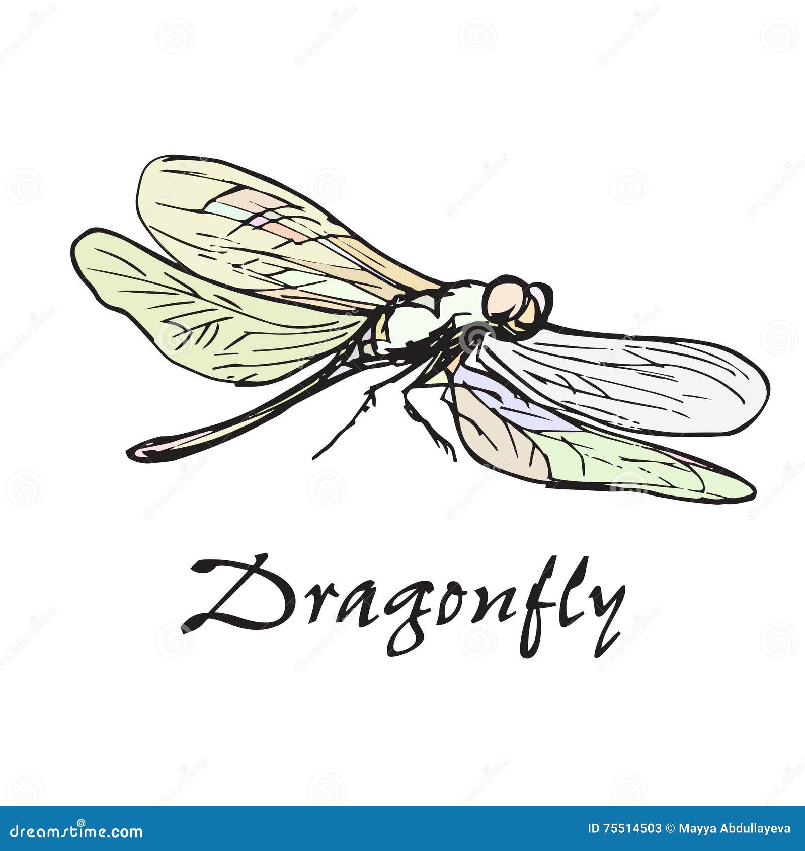 Hand Drawn with Ink Pen Dragonfly. Stock Vector - Illustration of black ...