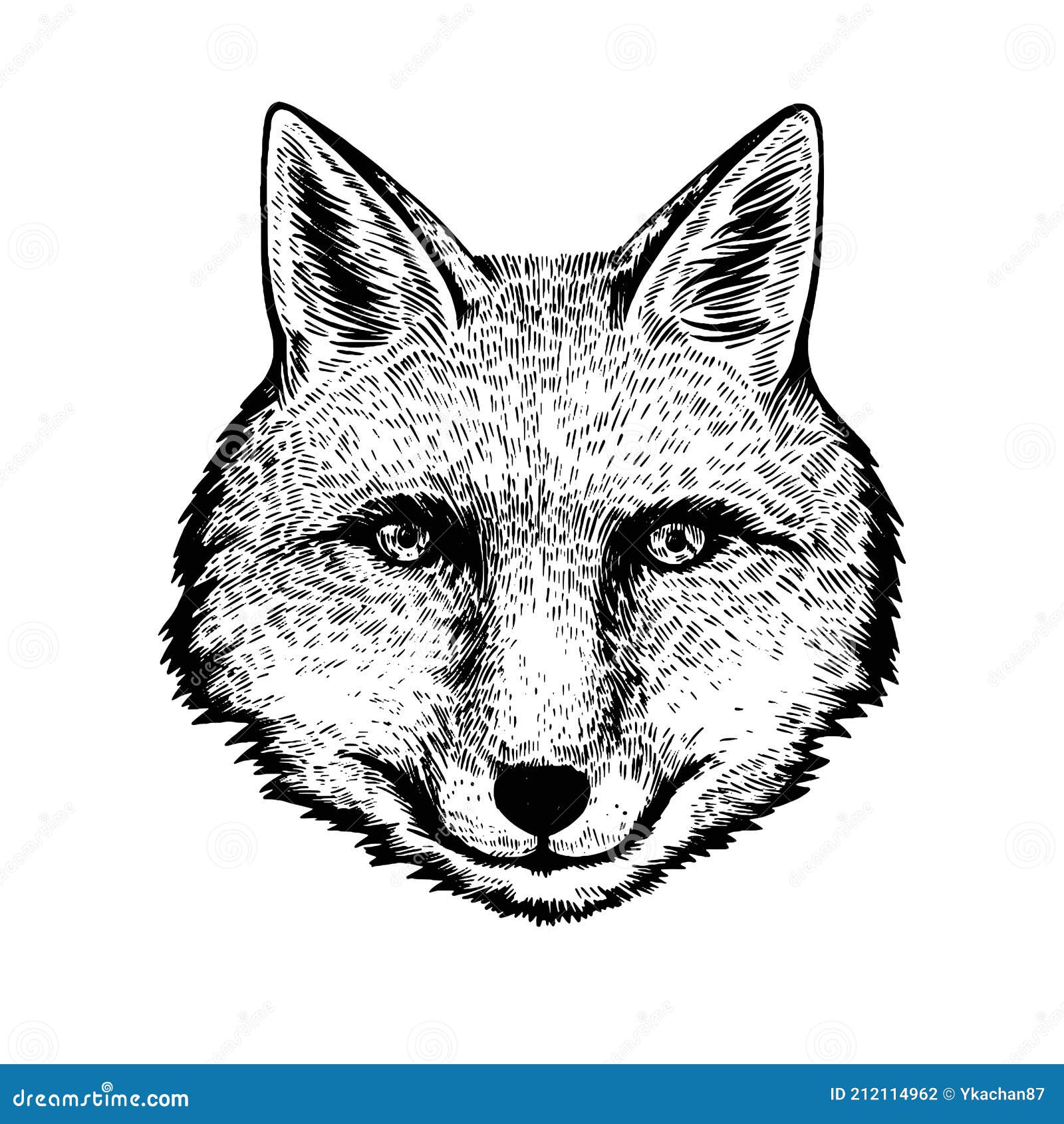 Hand Drawn Ink Portrait of Fox in Engraving Style. Stock Vector ...