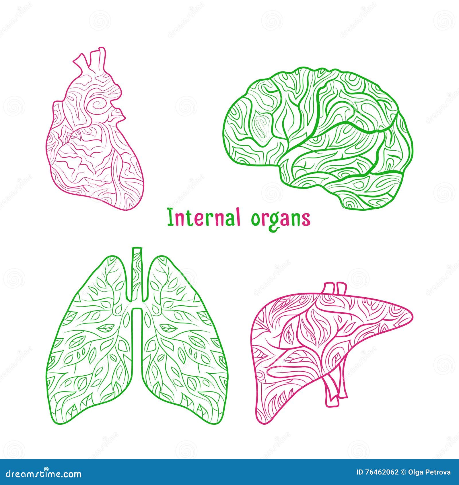 Hand Drawn Internal Organs. Stock Vector - Illustration of green ...