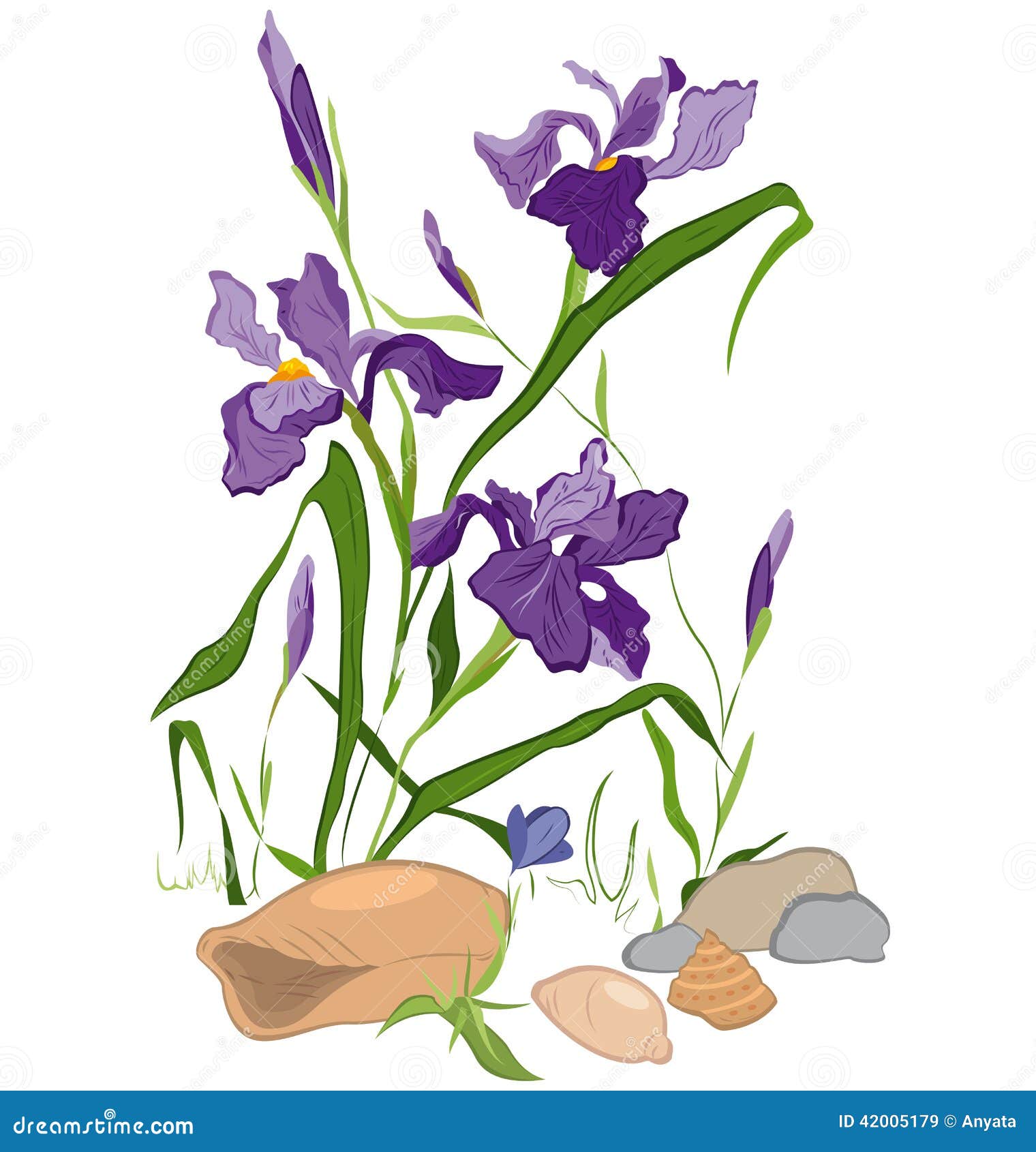 Hand drawn Iris blooms stock vector. Illustration of blossom - 42005179