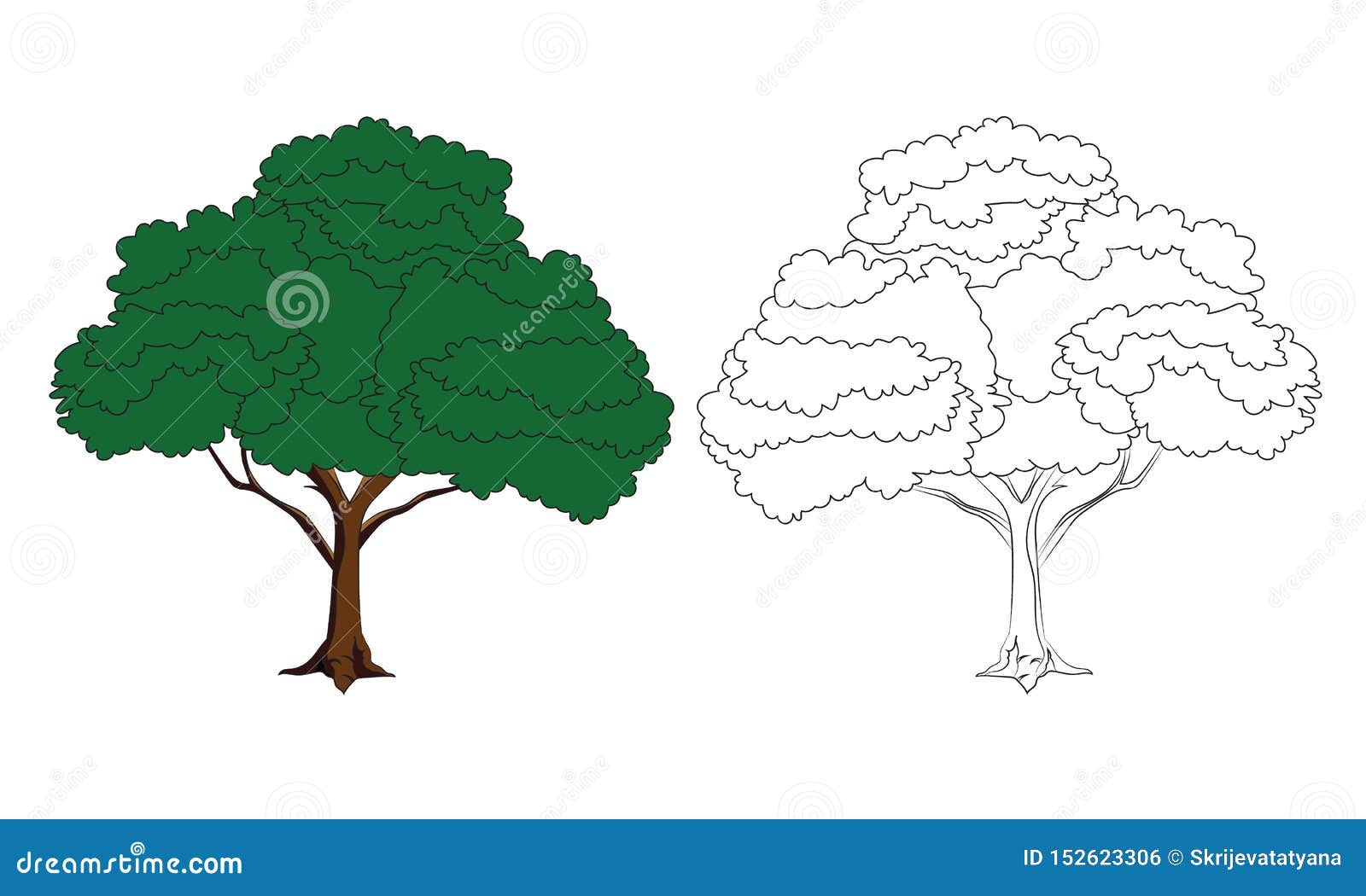 Vector shapes of two trees stock vector. Illustration of green - 152623306