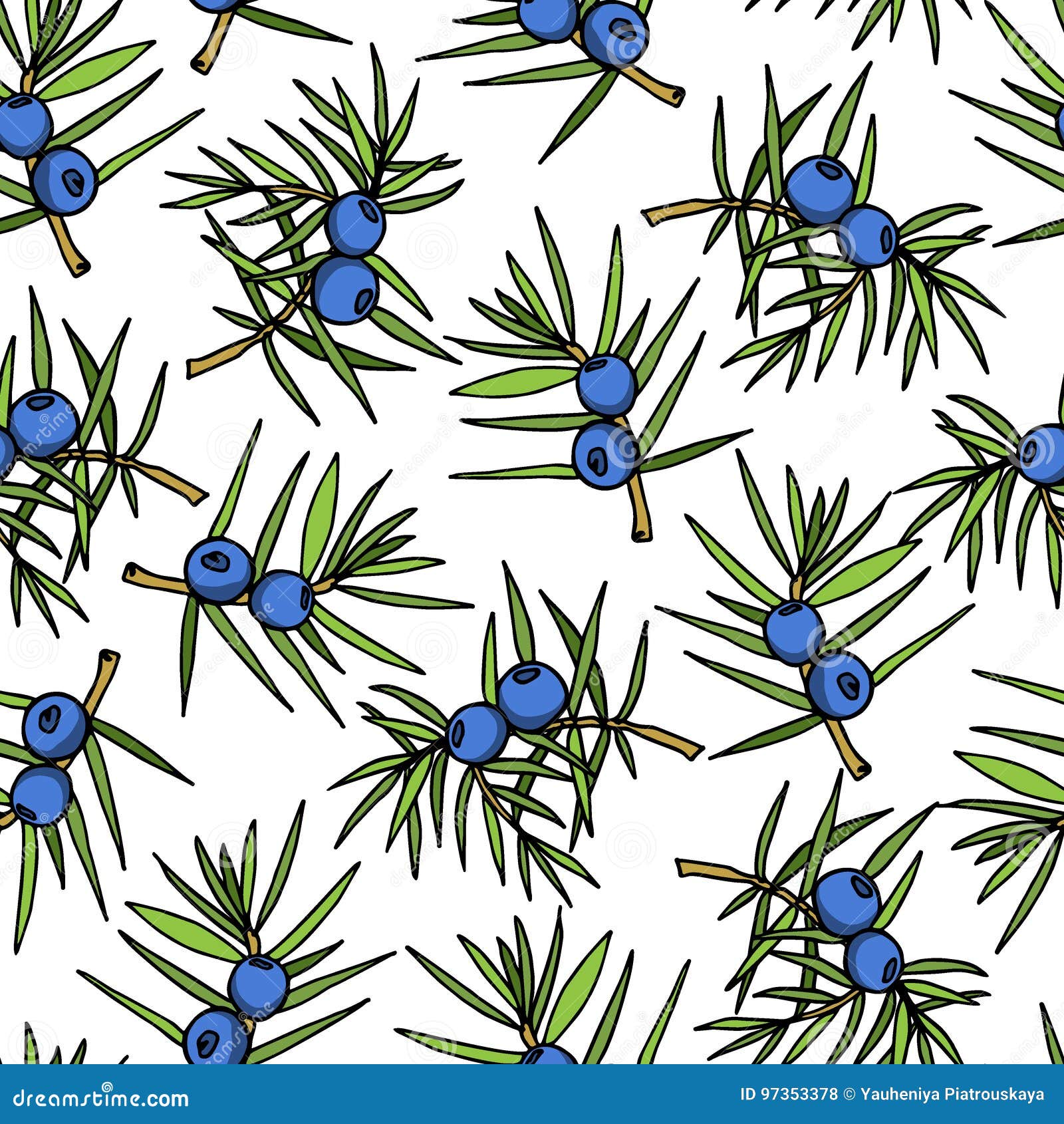 Hand drawn juniper pattern stock vector. Illustration of decoration ...