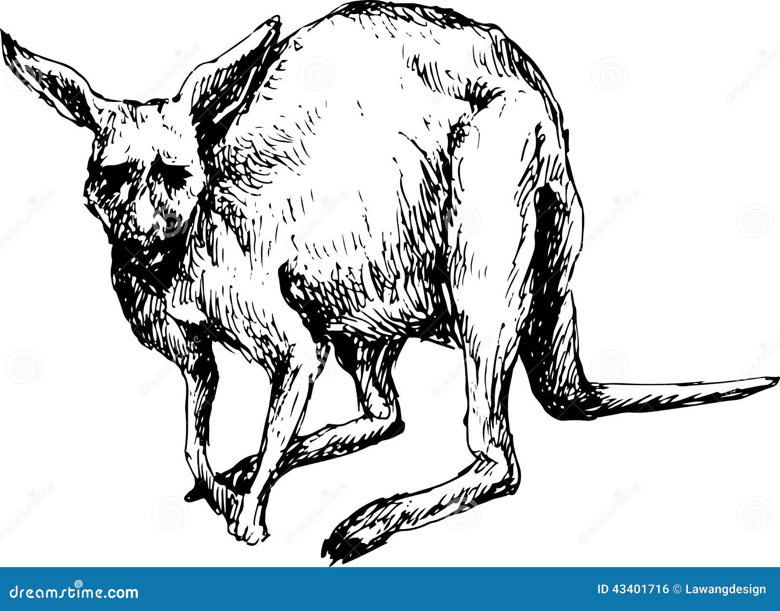 Hand drawn kangaroo stock vector. Illustration of comic - 43401716
