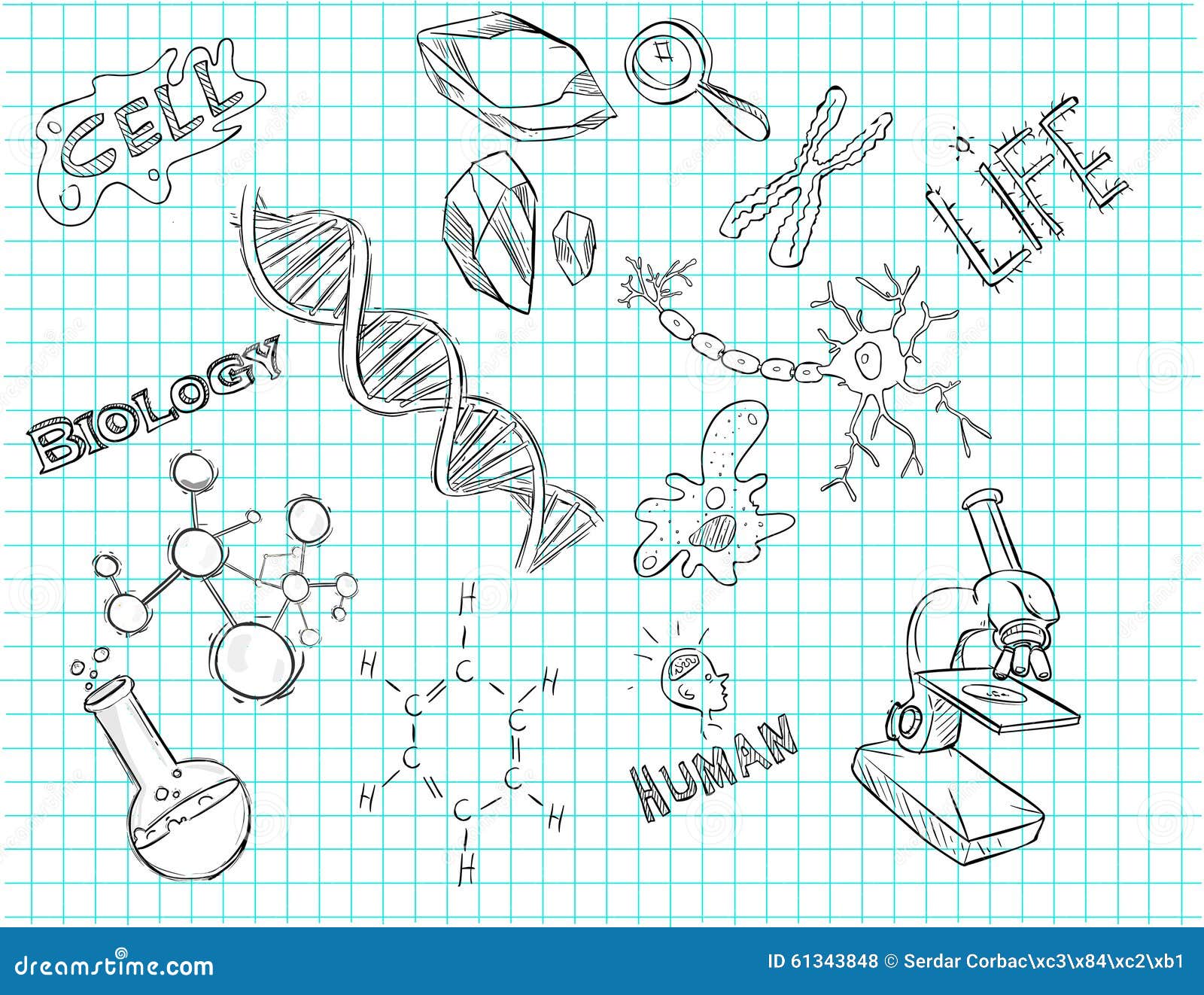 Hand Drawn Laboratory Icons Sketch Vector Illustration | CartoonDealer ...