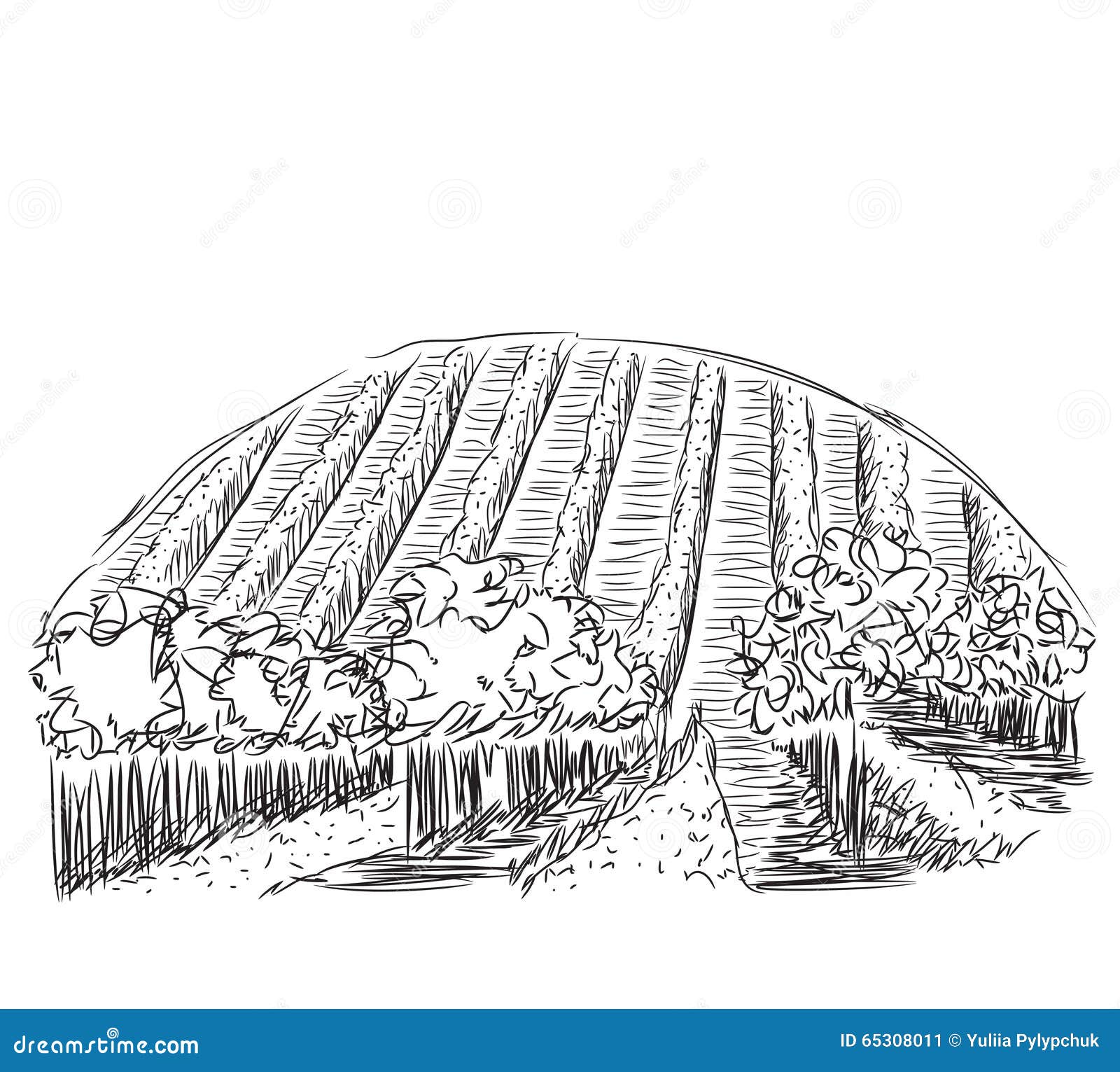 Hand Drawn Landscape with Fields. Stock Vector - Illustration of hill ...