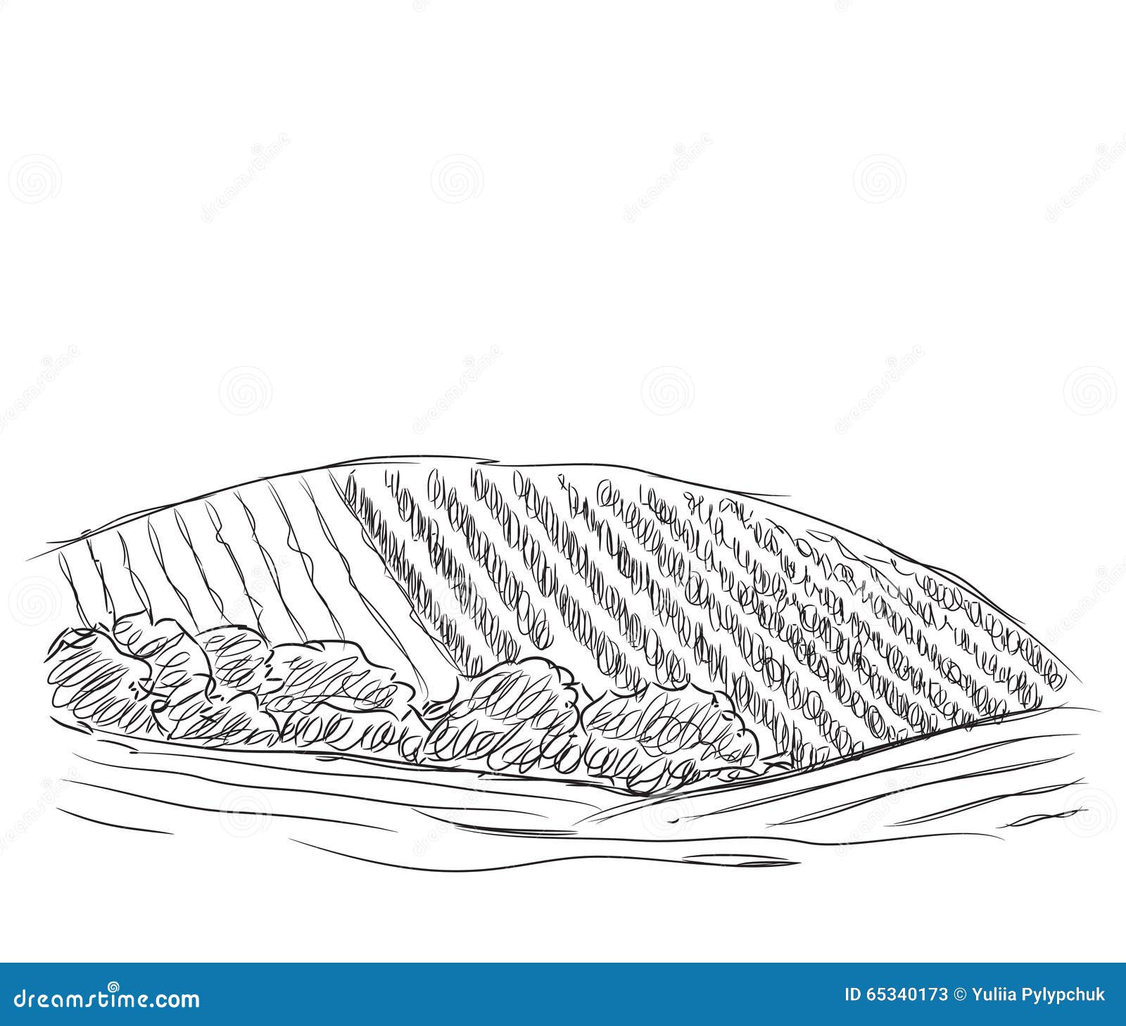 Hand Drawn Landscape with Fields. Stock Vector - Illustration of ...