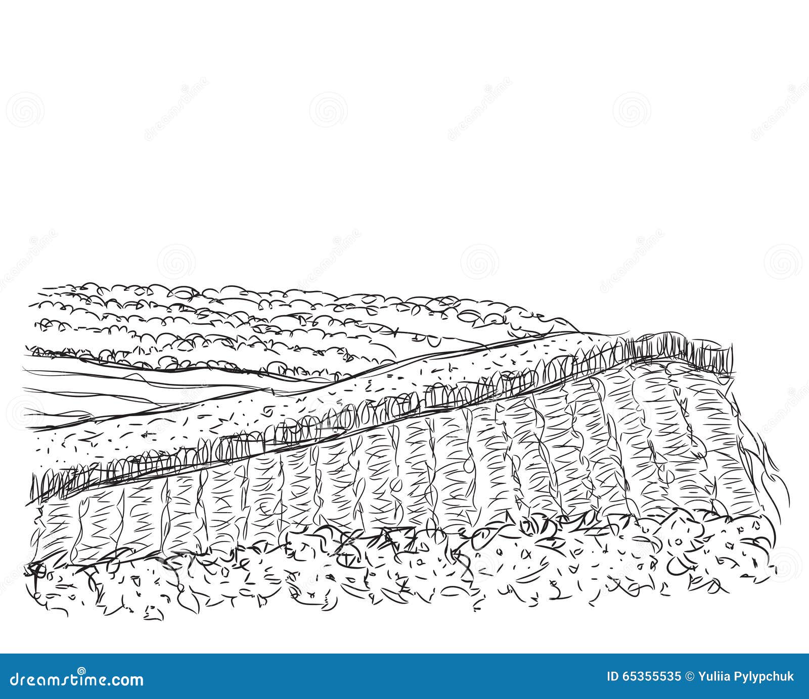 Hand Drawn Landscape with Fields. Stock Vector - Illustration of hand ...