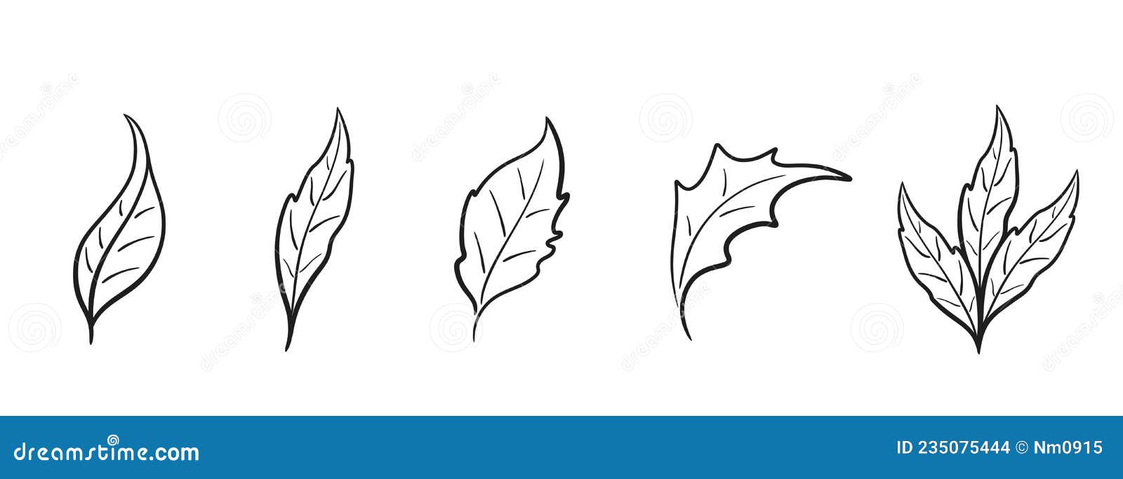 Hand Drawn Leaf Set. Sketchy Botanical Illustrations. Floral Elements ...