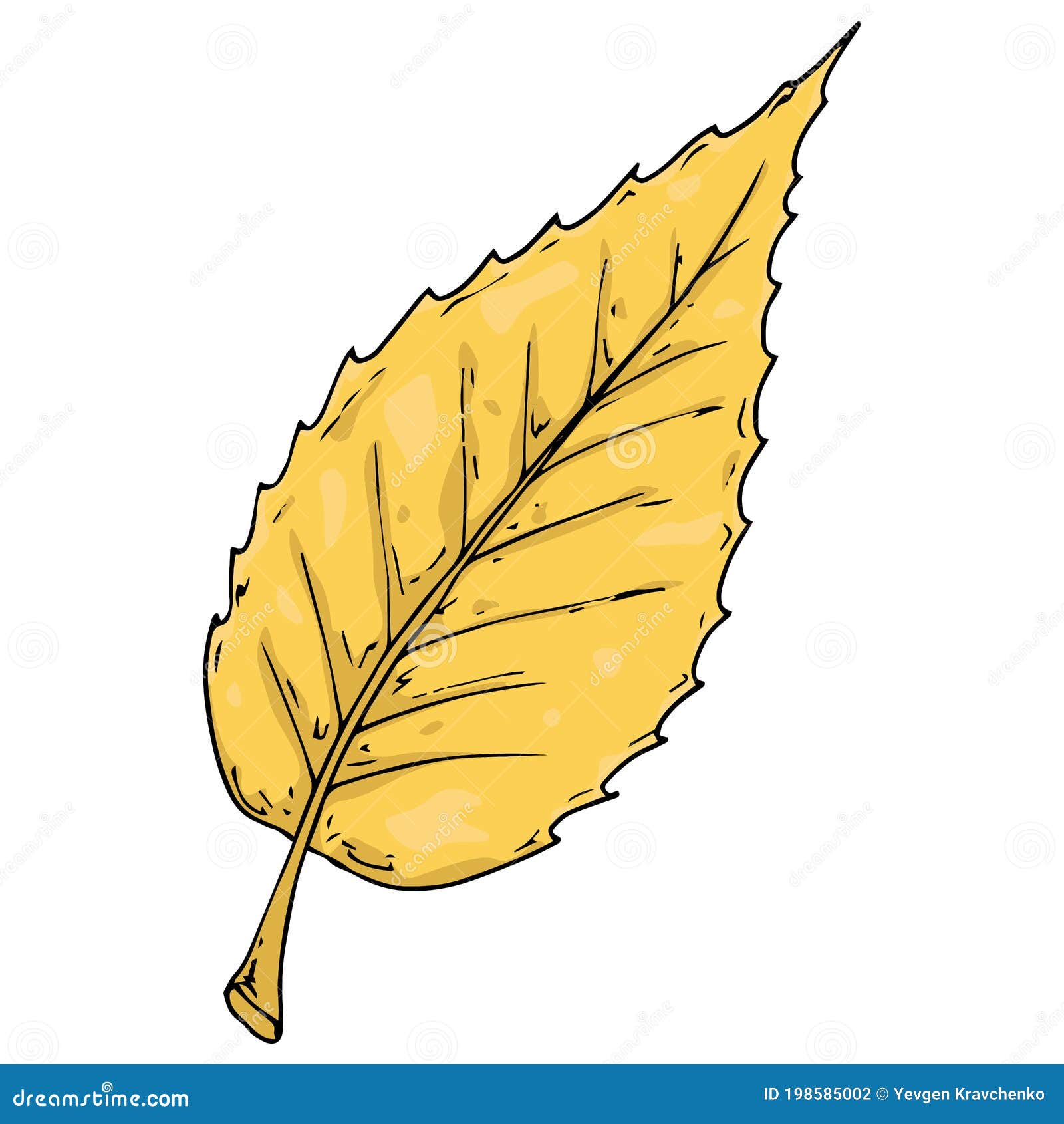 Hand Drawn Leaf of the Tree. Vector Illustration of a Falling Leaf of a ...