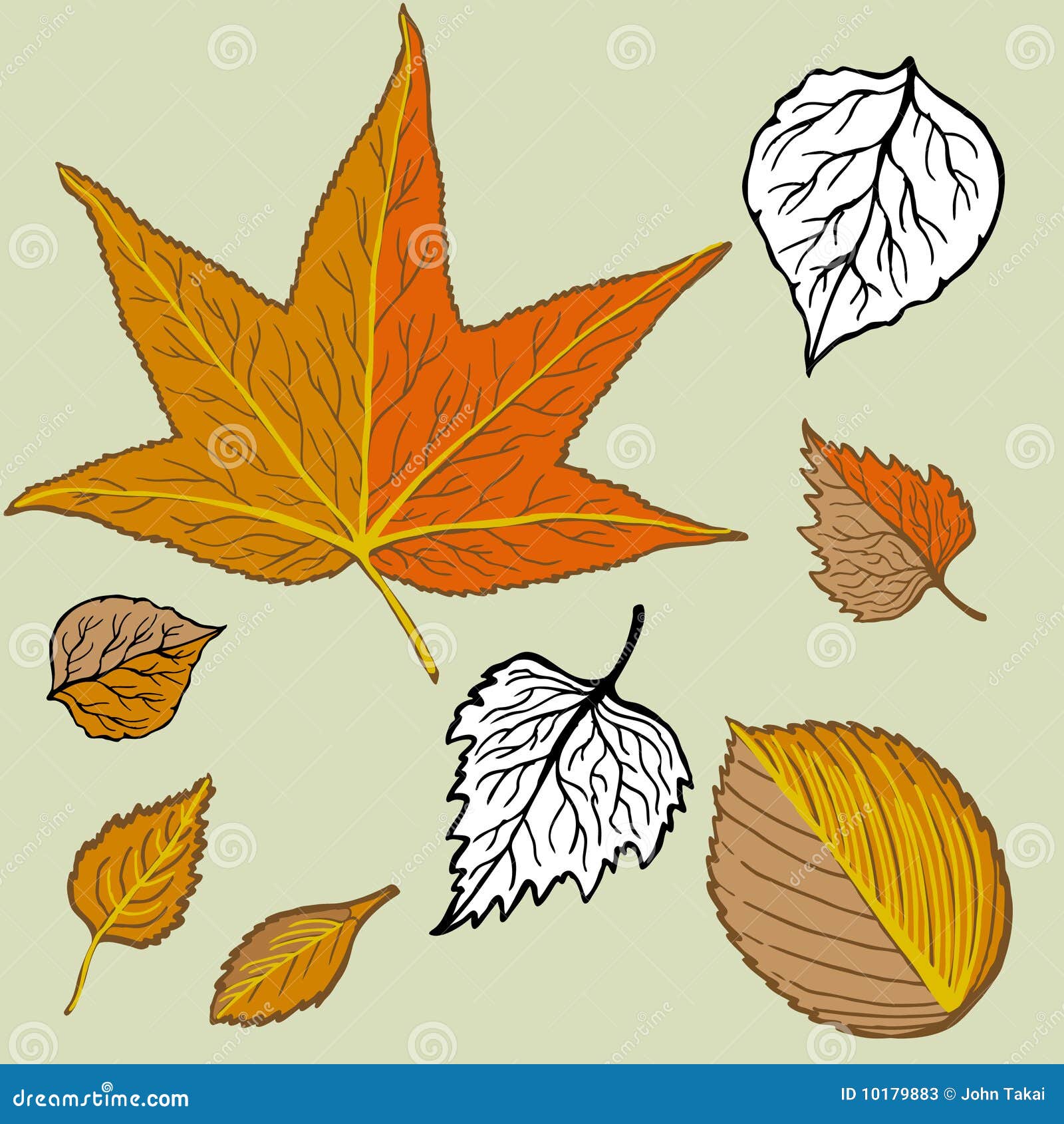 Hand Drawn Leaves stock vector. Illustration of tree - 10179883