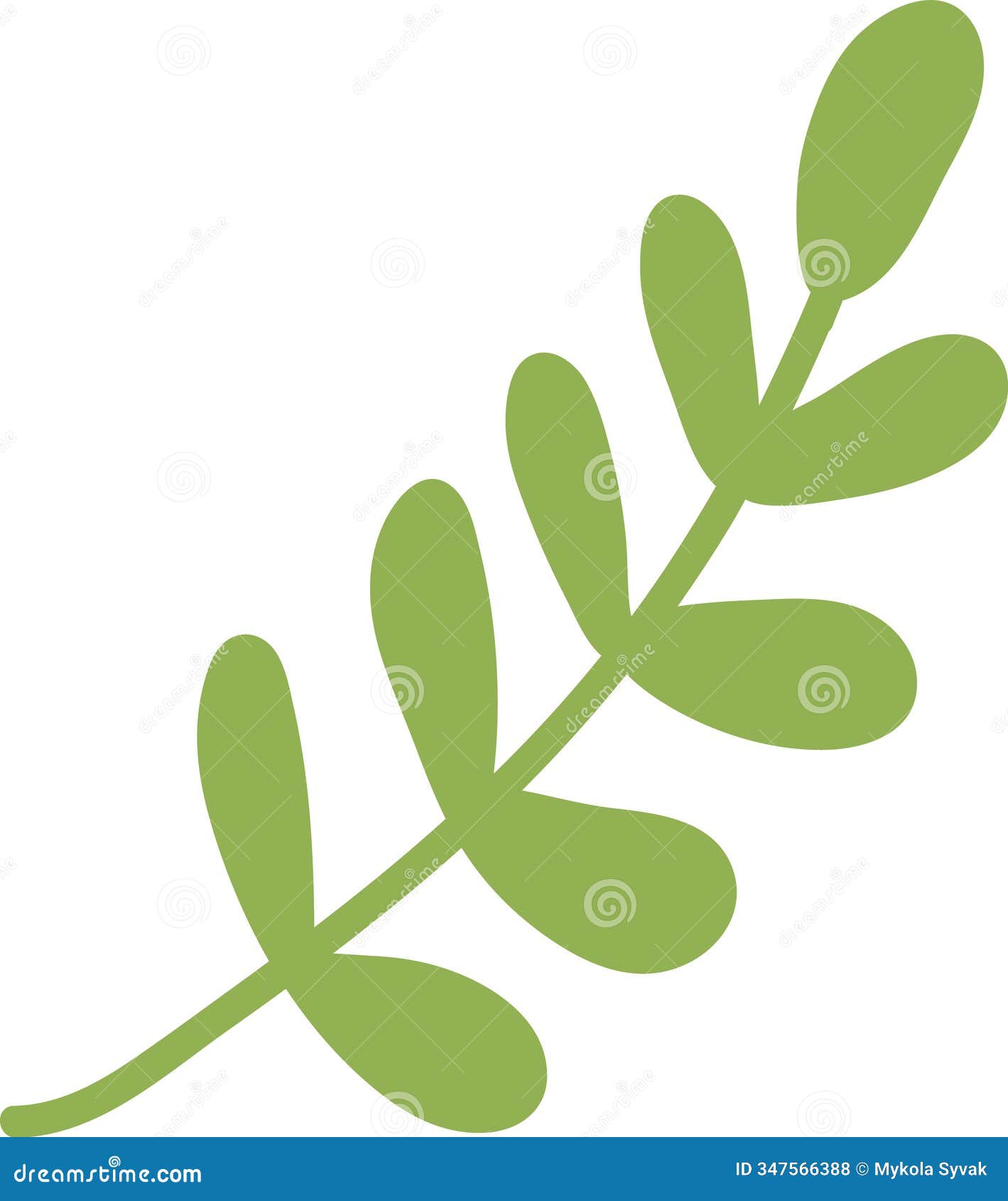 Hand Drawn Leaves Branch stock vector. Illustration of botanical ...