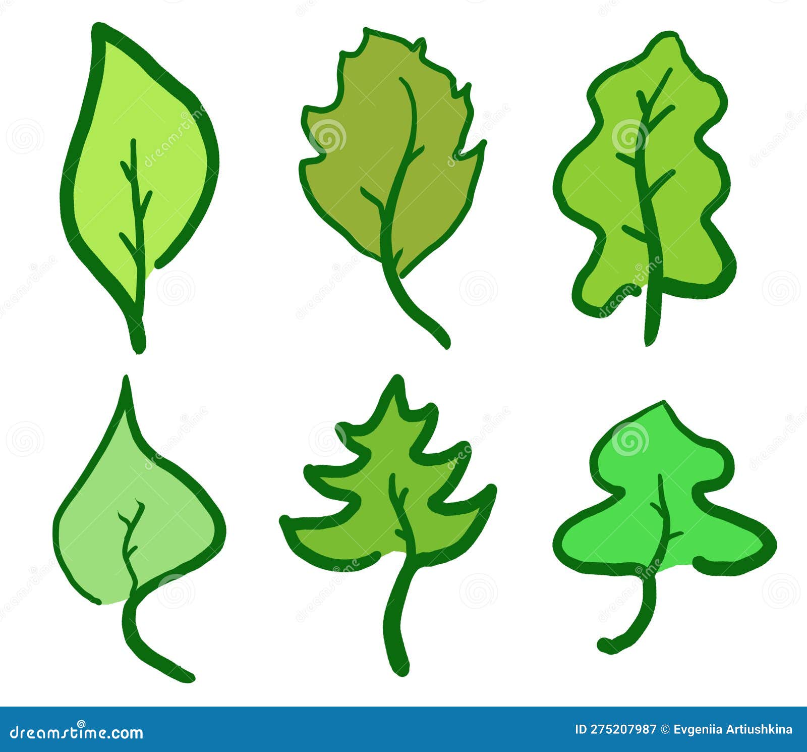 Hand Drawn Leaves Illustration Set Stock Image - Illustration of ...