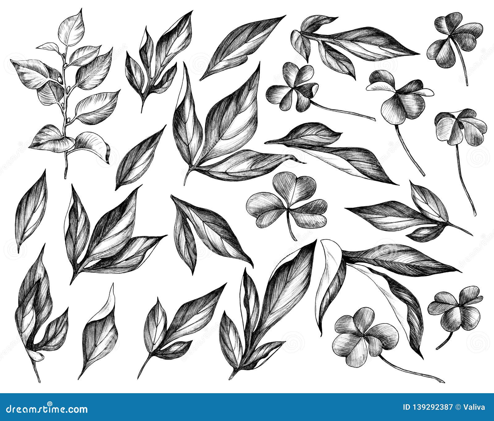 Hand drawn Leaves Set stock illustration. Illustration of peony - 139292387 Hand drawn Leaves Set stock illustration. Illustration of peony - 139292387