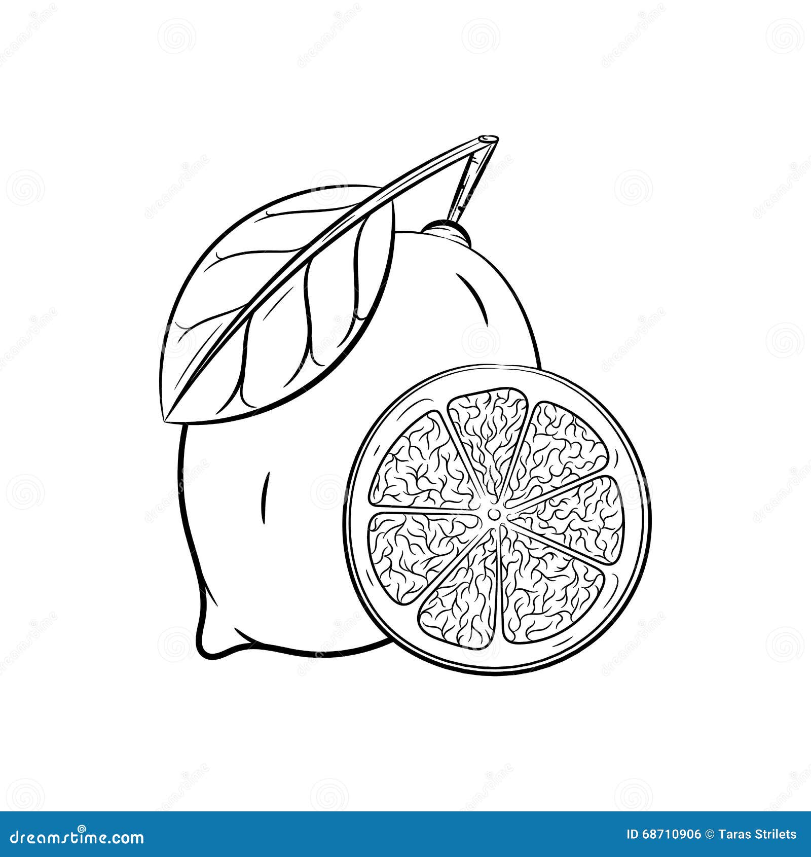Hand drawn Lemon sketches stock vector. Illustration of diet - 68710906 Hand drawn Lemon sketches stock vector. Illustration of diet - 68710906
