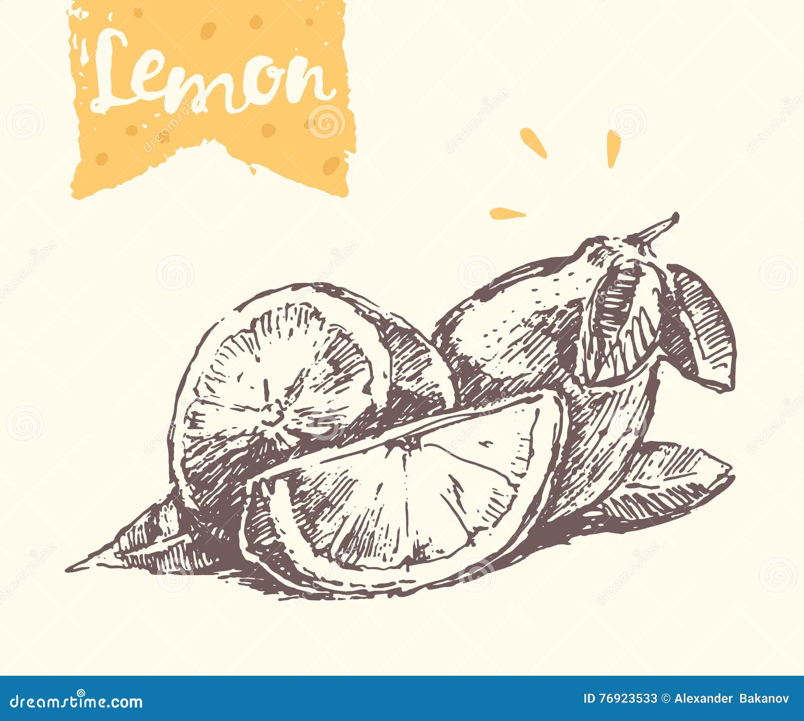 Hand Drawn Lemon Vector Illustration, Sketch. Stock Vector ...