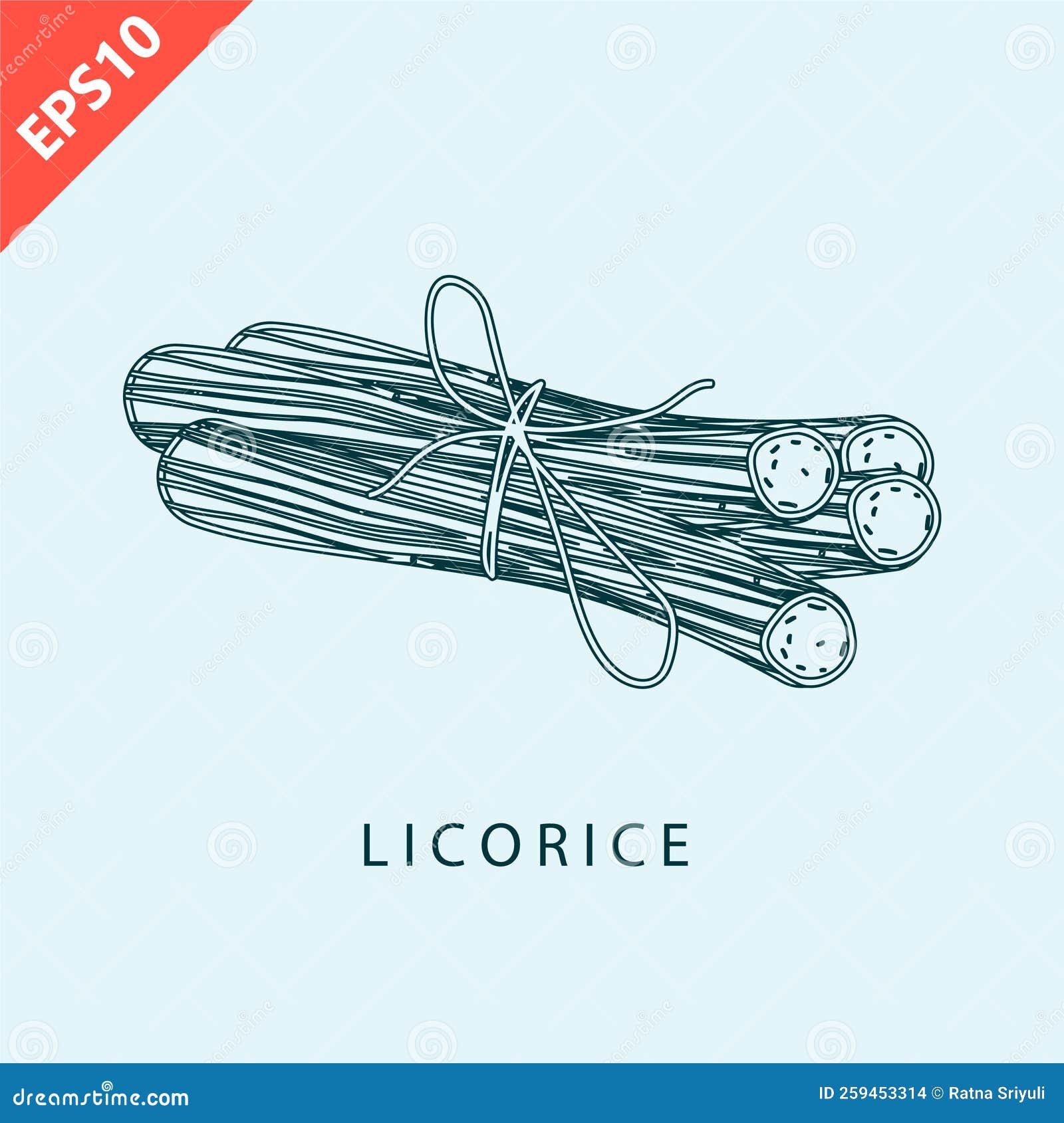 Hand Drawn Licorice Root Design Vector Flat Isolated Illustration Stock ...
