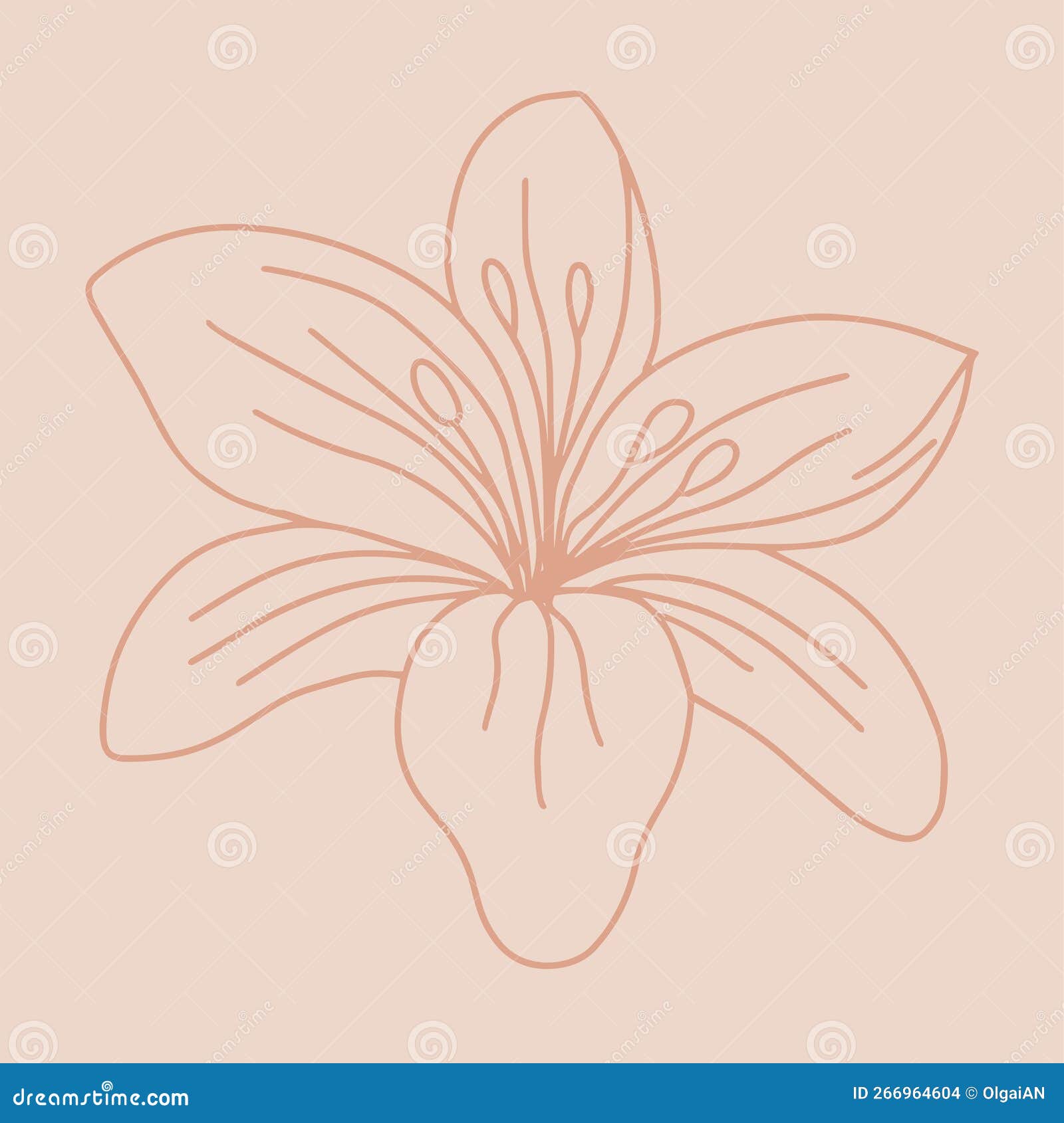 Hand Drawn Lily. Beautiful Delicate Lily Stock Vector - Illustration of ...