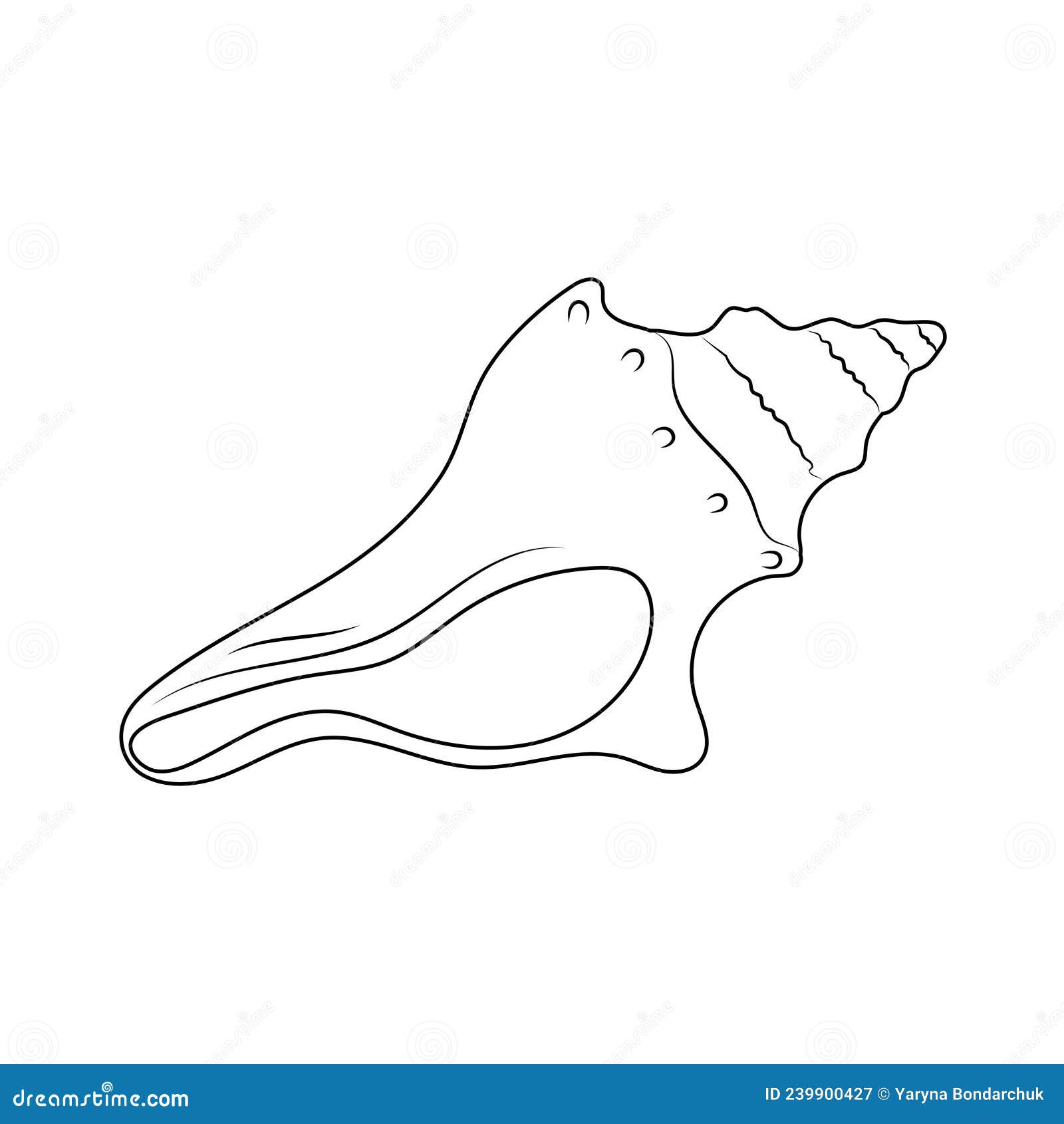 Hand Drawn Line Art Seashell. Stock Vector - Illustration of ocean ...