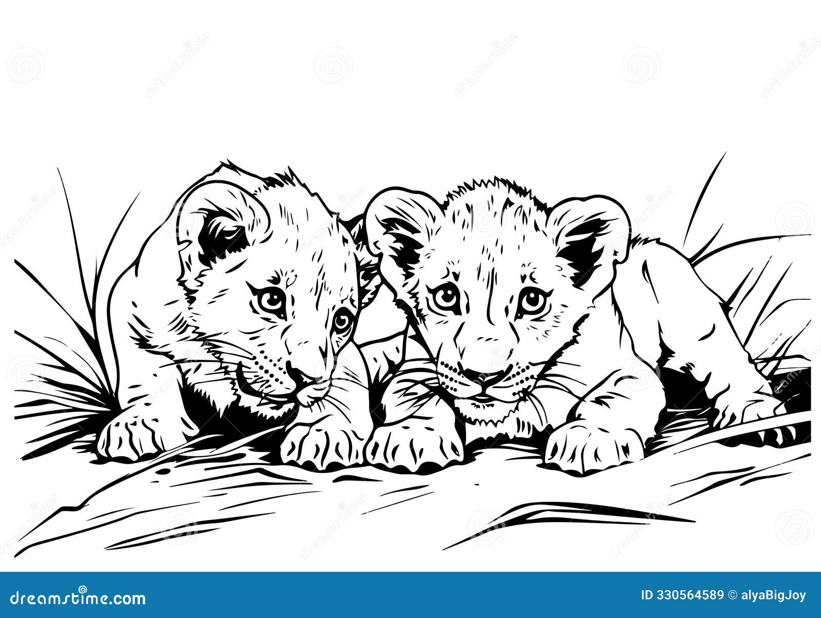 Hand Drawn Lion Cubs . Vector Stock Illustration - Illustration of ...