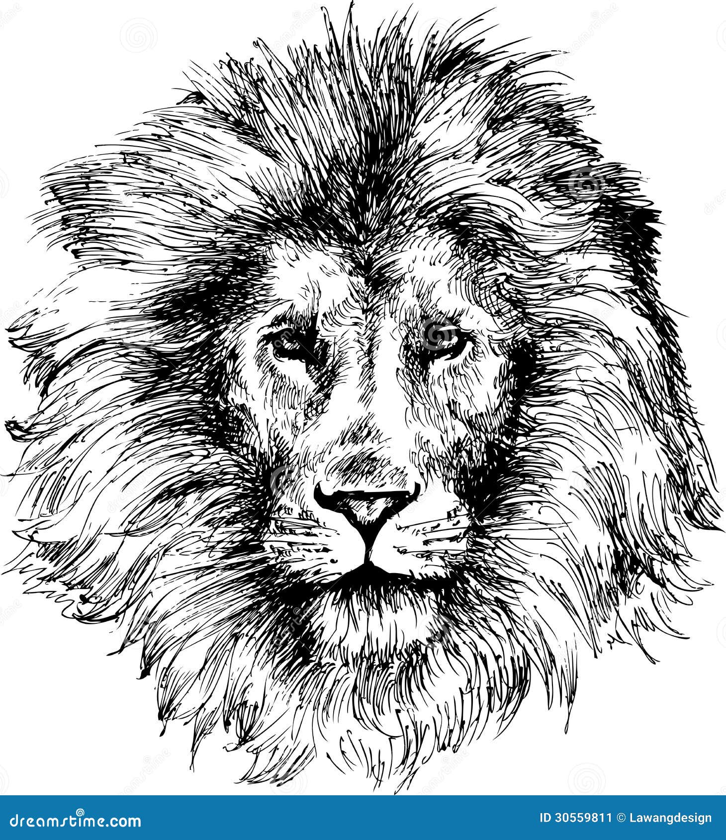 Hand Drawn Lion Head Cartoon Vector | CartoonDealer.com #30559811