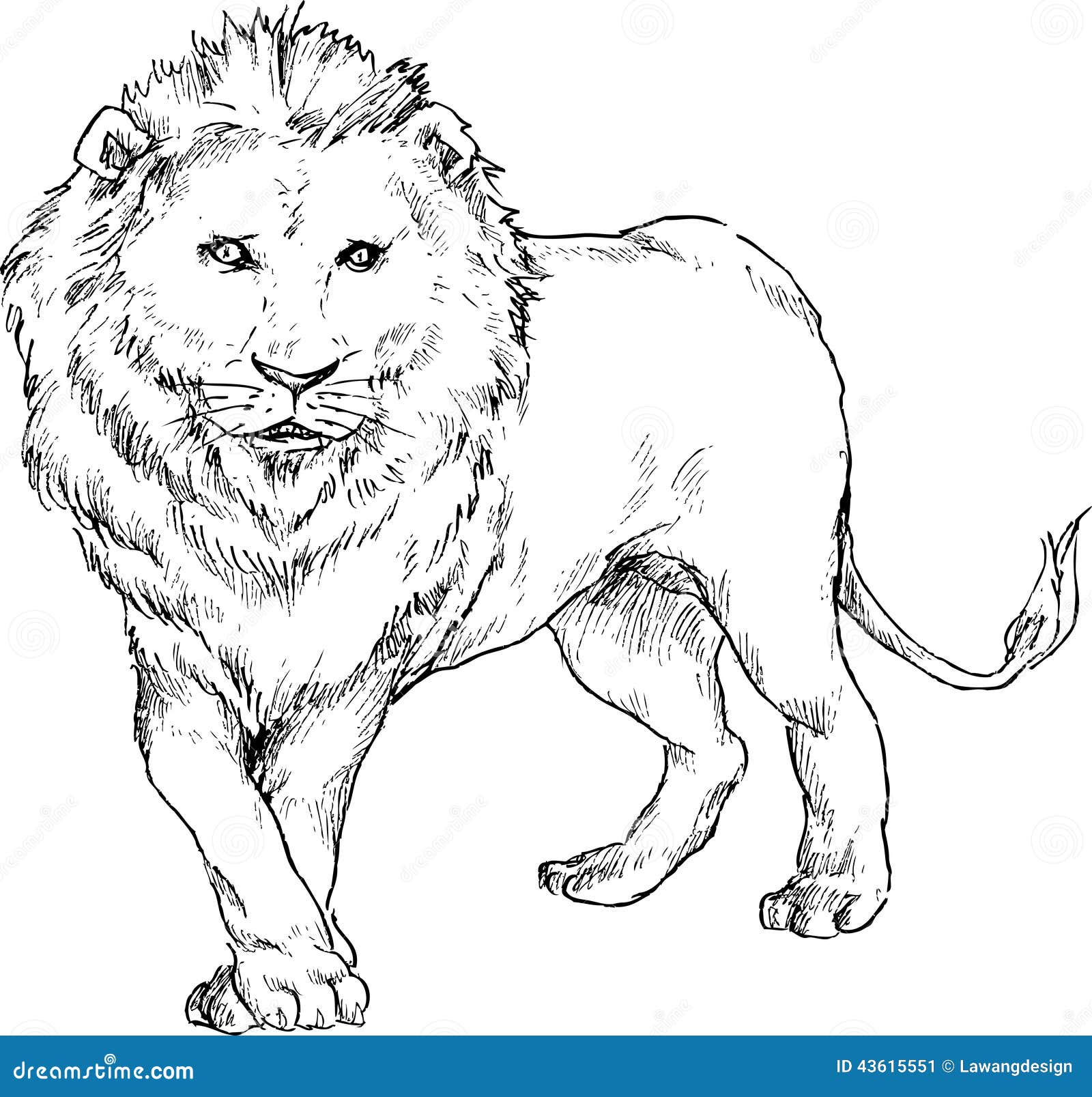 Hand drawn lion stock vector. Illustration of hand, emblem - 43615551