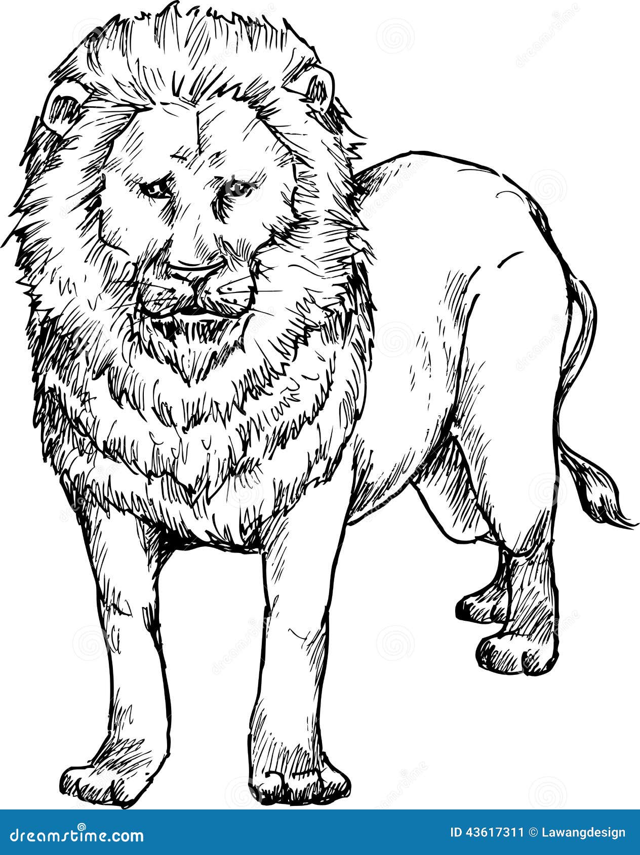 Hand drawn lion stock vector. Illustration of powerful - 43617311