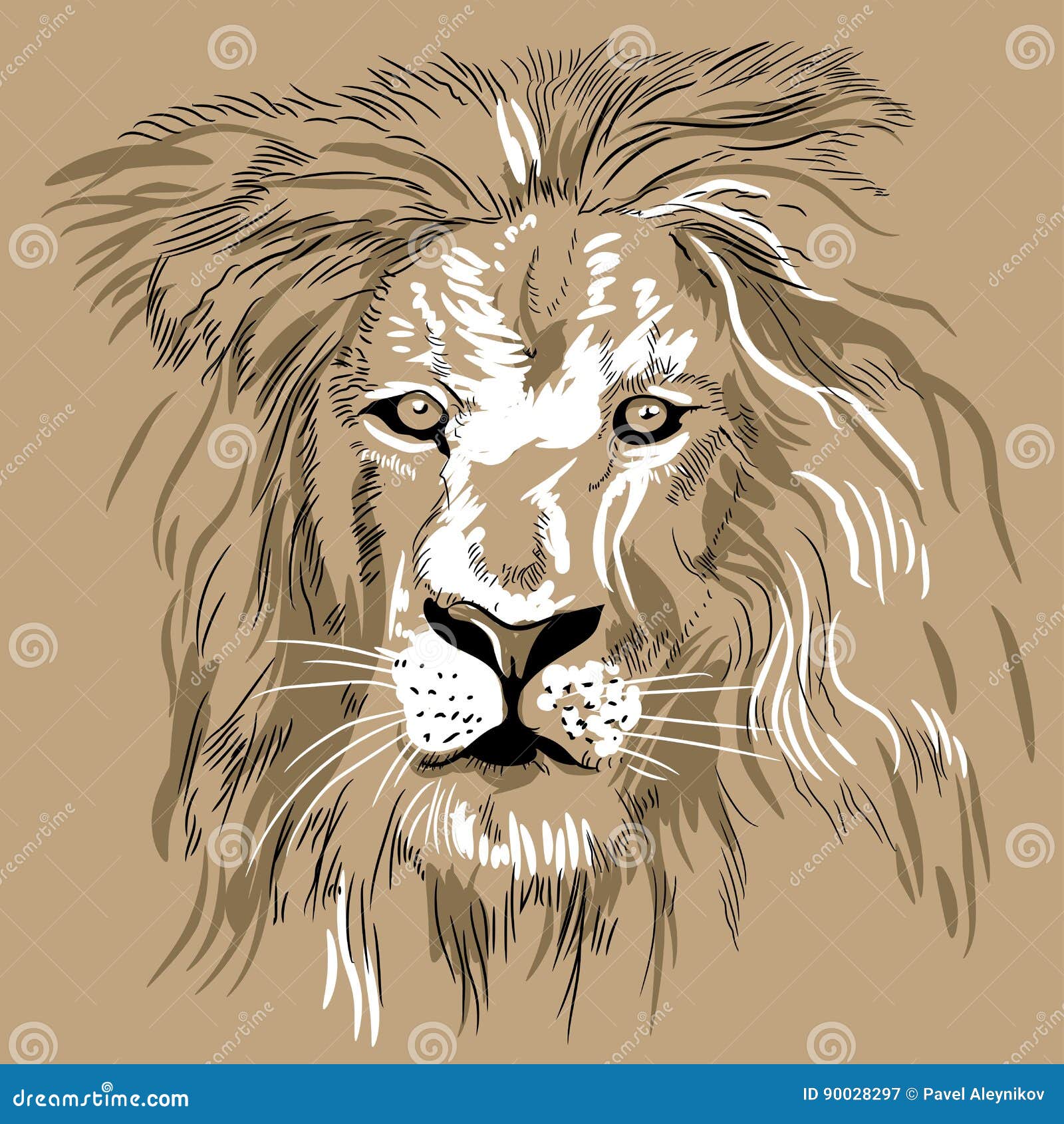 Hand Drawn Lion Portrait Close-up. Vector Image. Stock Vector ...