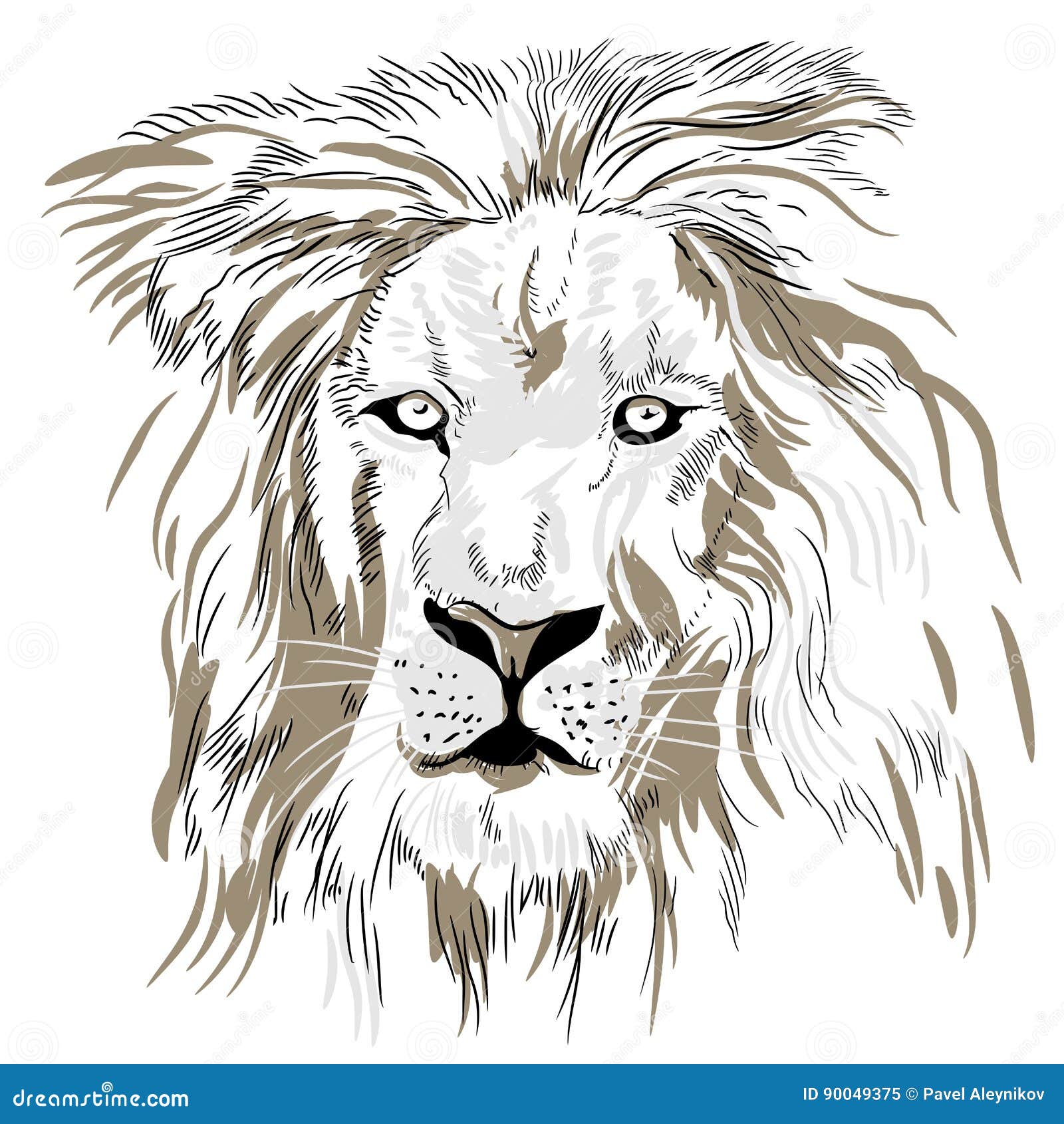 Hand Drawn Lion Portrait Close-up. Vector Image. Stock Vector ...