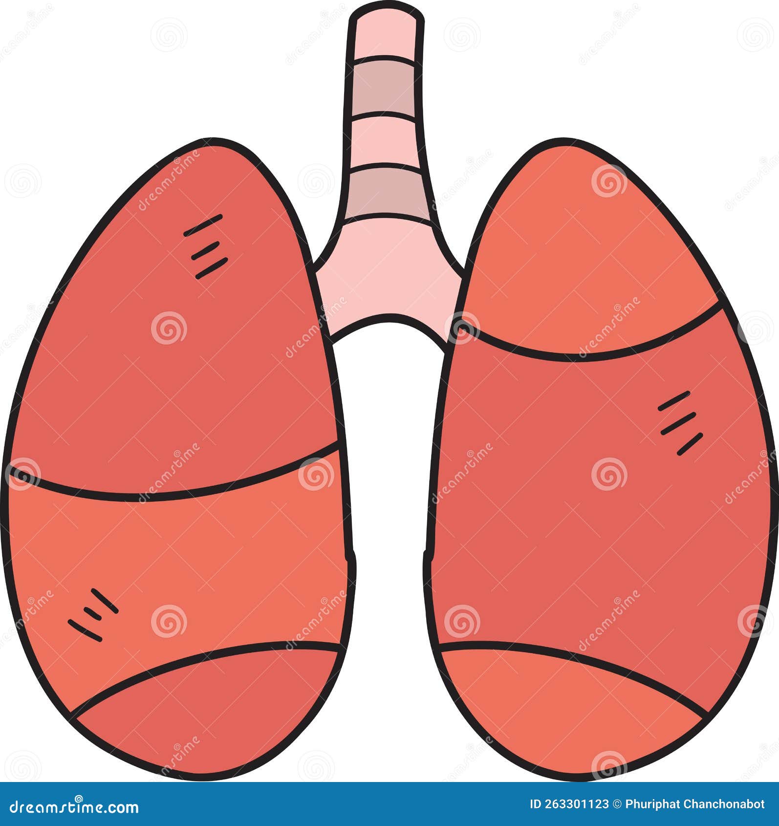 Hand Drawn Lungs Illustration Stock Vector - Illustration of internal ...