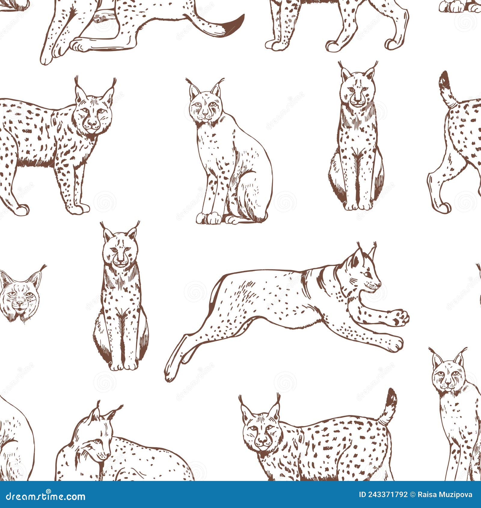 Vector Pattern with Sketch Lynx Stock Vector - Illustration of spots ...