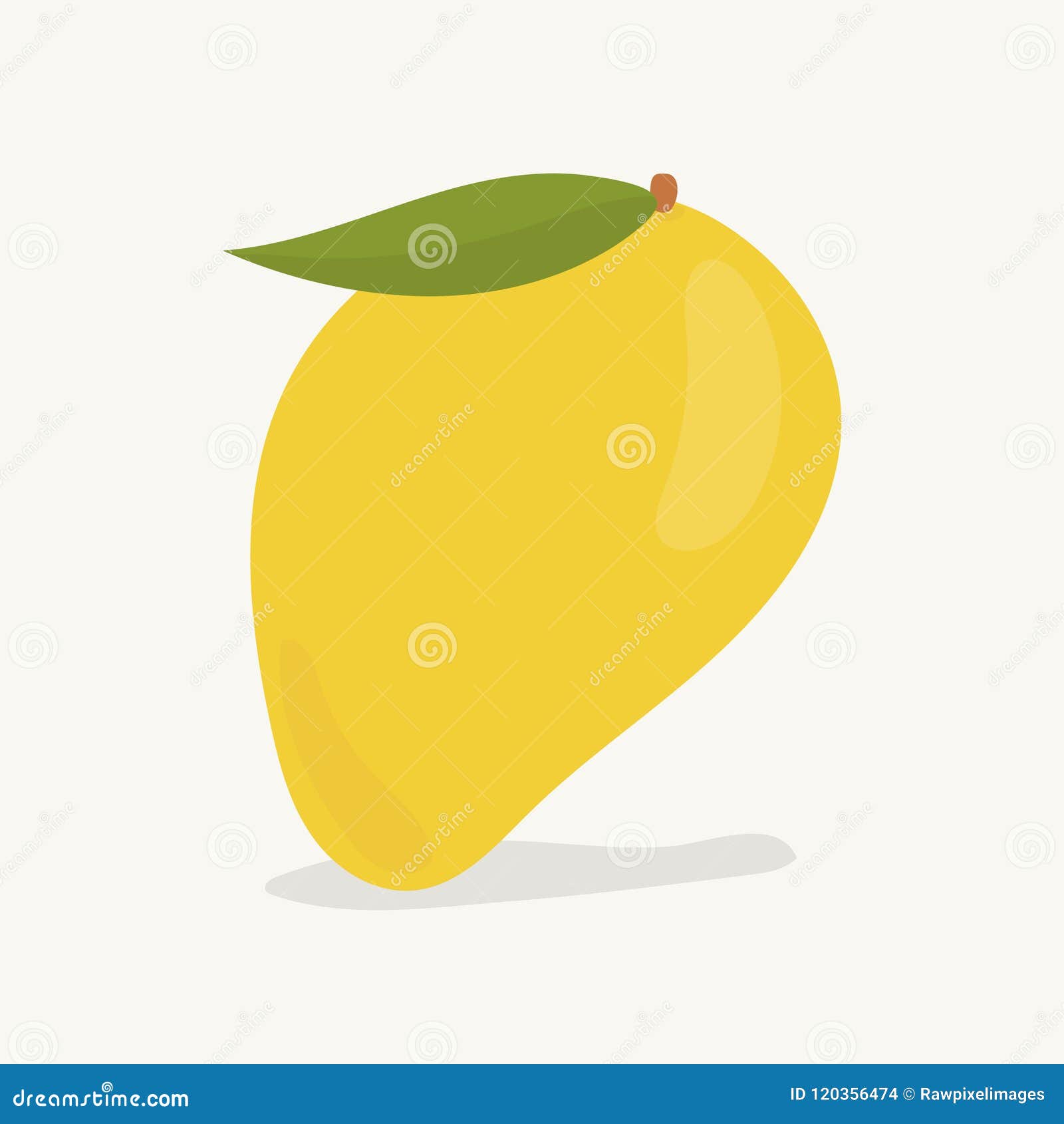 Hand Drawn Mango Fruit Illustration Stock Vector - Illustration of ...
