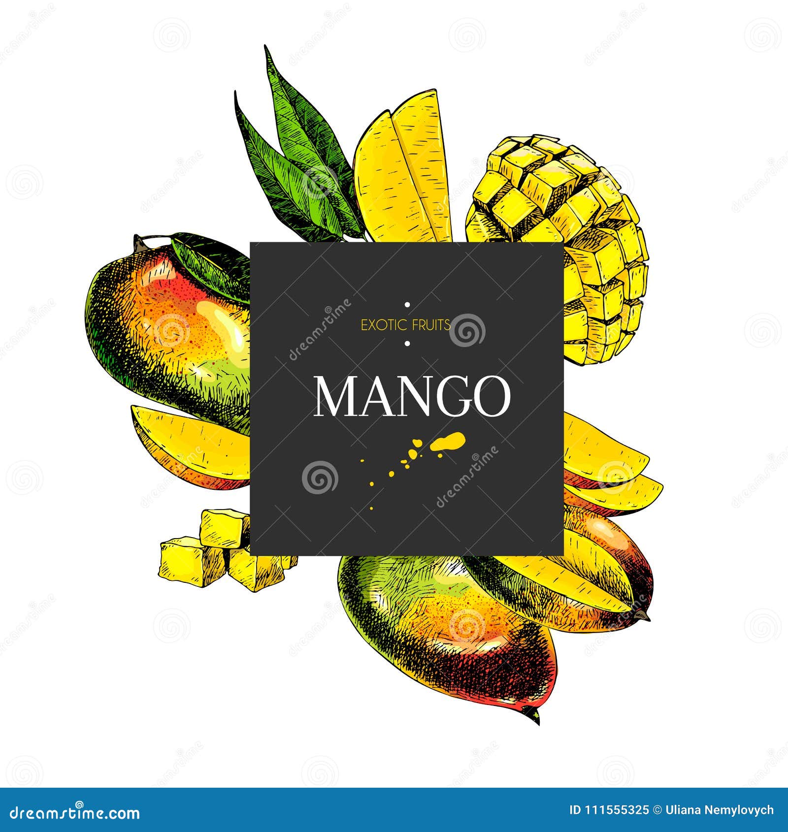 Hand Drawn Mango Whole, Sliced, Cube with Leaves in Design Template ...