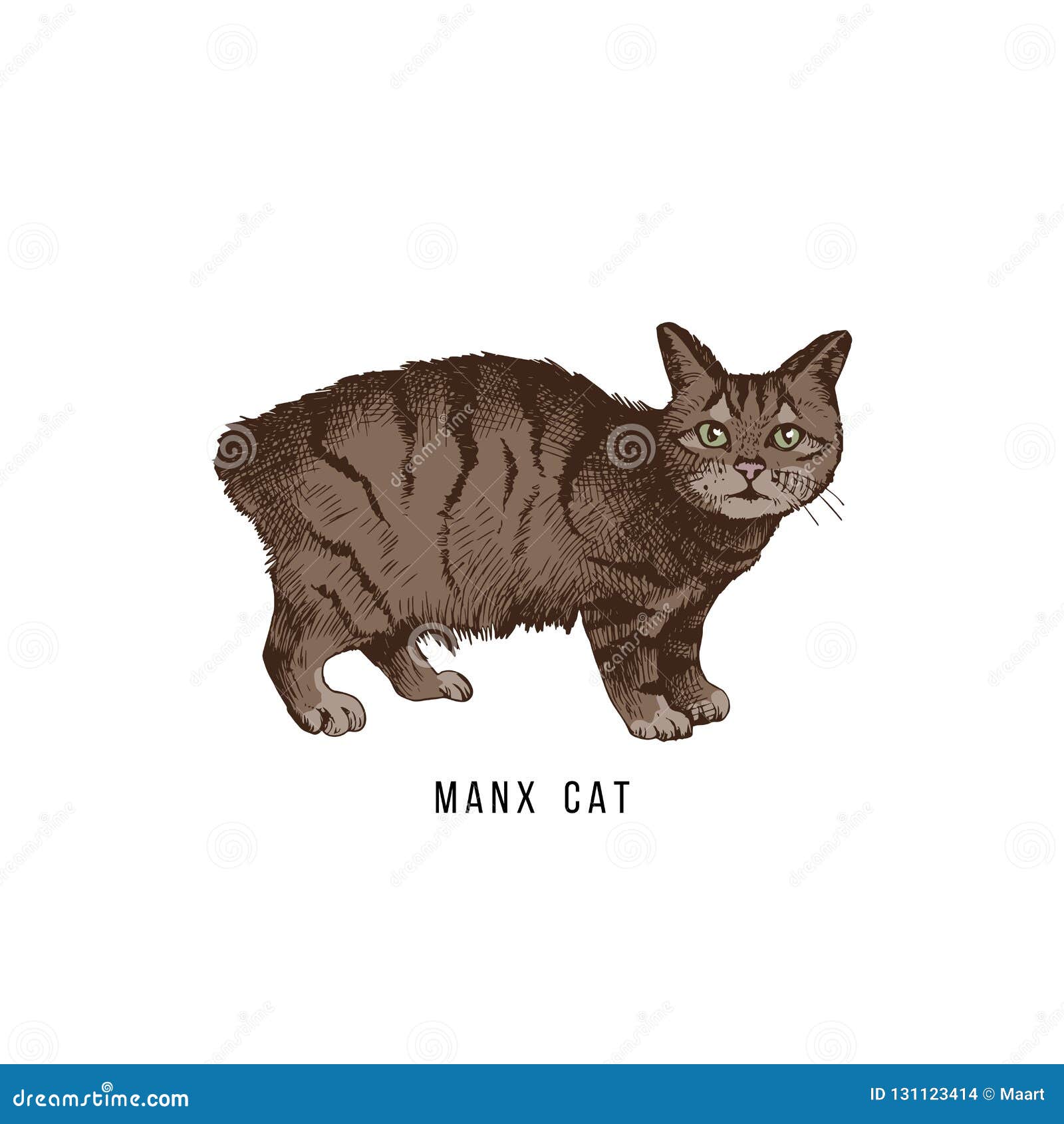 Manx Vintage Engraving Cartoon Vector | CartoonDealer.com #163084801