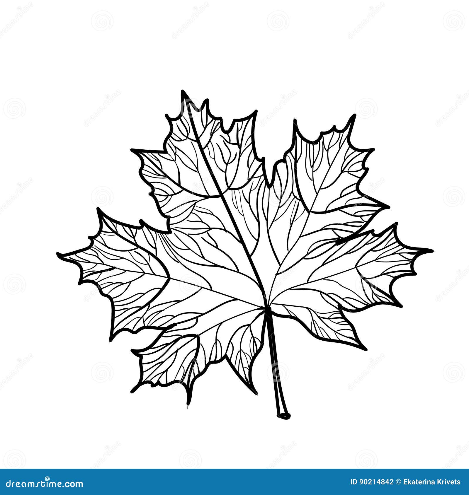 Hand Drawn Maple Leaf Isolated Stock Vector - Illustration of detailed ...