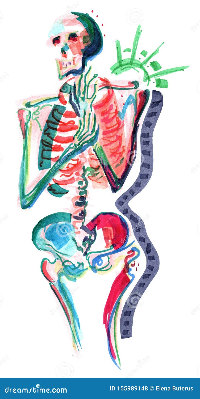 Hand drawn Marker Skeleton stock illustration. Illustration of sketch ...