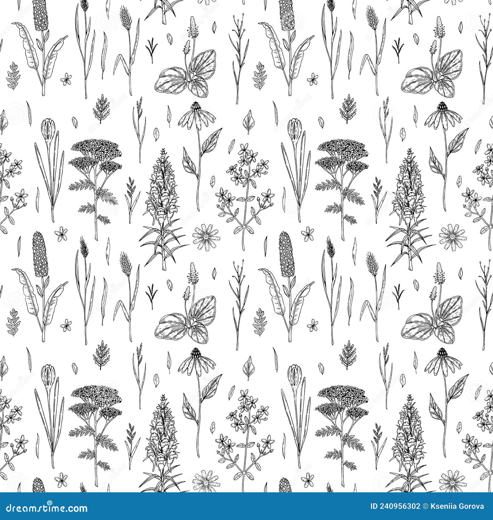 Hand Drawn Meadow Flowers Seamless Pattern. Vector Illustration in ...