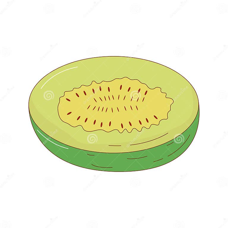 Hand Drawn Melon Fruit Vector Illustration. Creative Hand Drawn Fruit ...