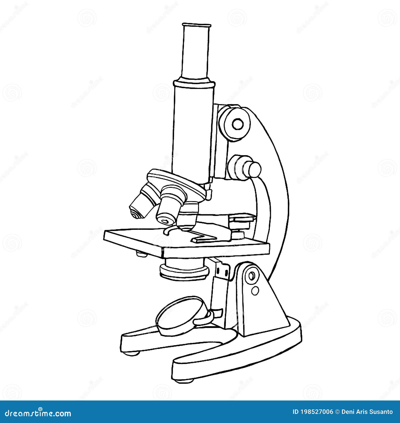 Compound Microscope Drawing