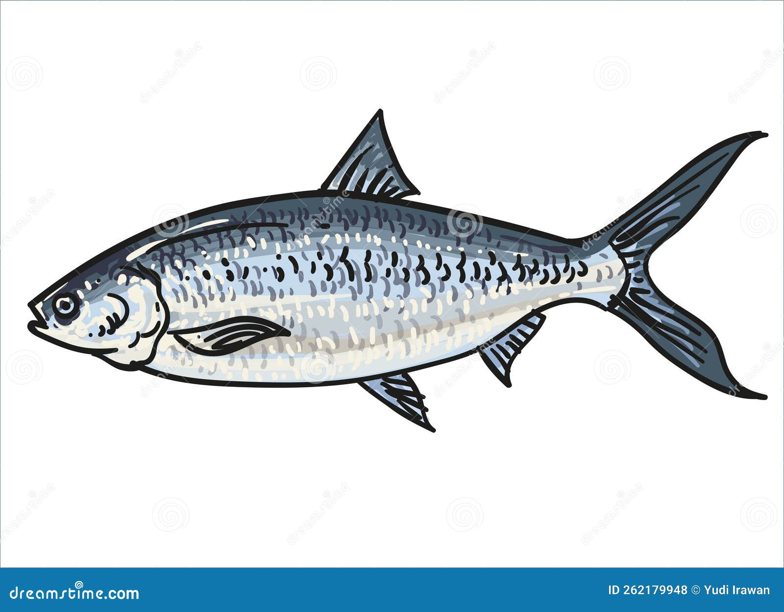 Hand Drawn Milkfish Vector Illustration Stock Vector - Illustration of ...