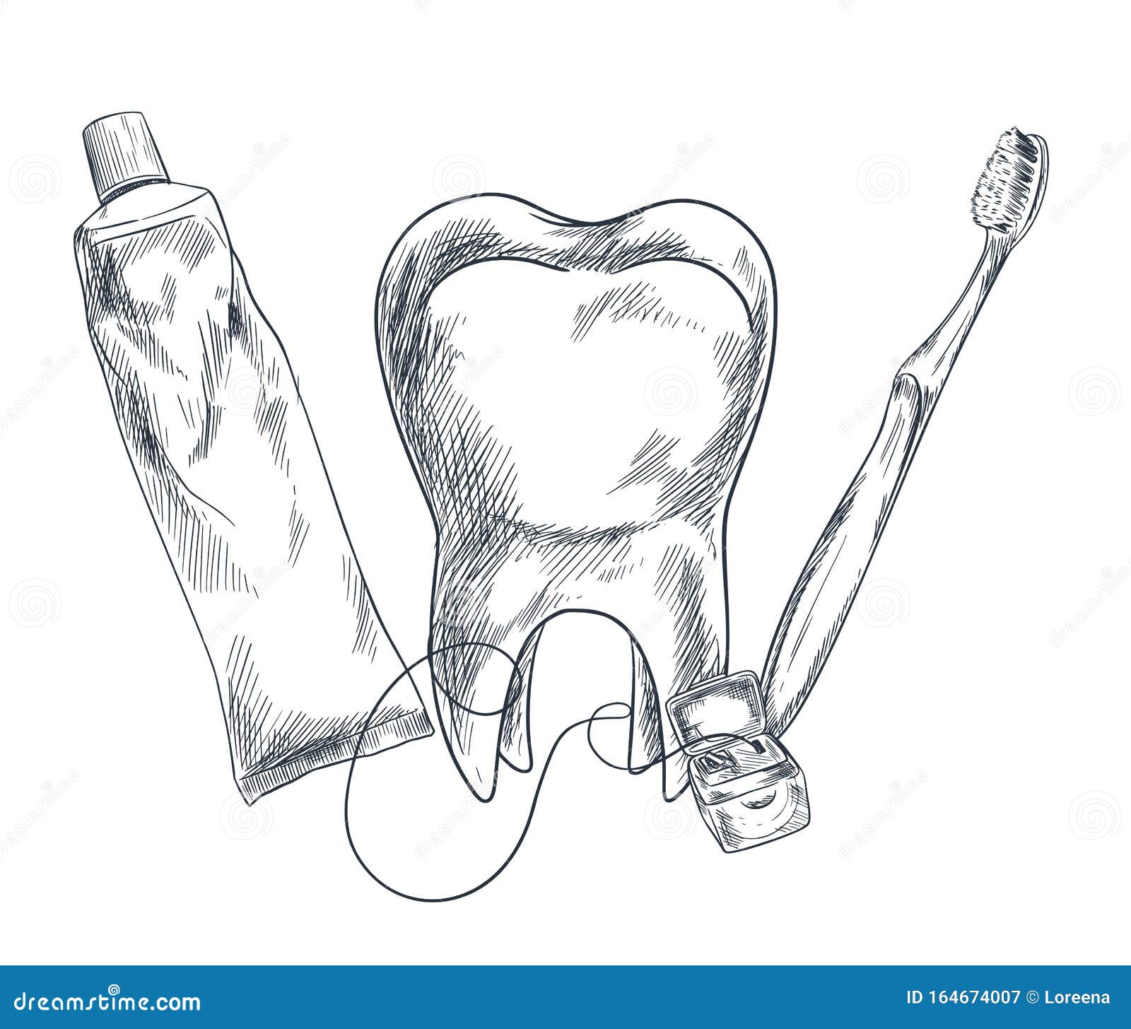 Hand Drawn Molar, Toothpaste, Toothbrush and Floss Stock Vector ...